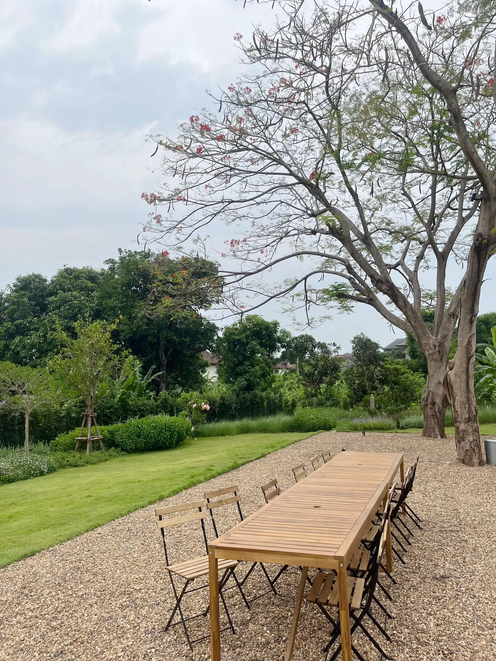 𝑺𝒂𝒔𝒊 𝑩𝒂𝒏𝒈𝒌𝒐𝒌 : 🥤คาเฟ่ย่านตลิ่งชัน mood ดีมาก | แกลเลอรีที่โพสต์โดย 🐕 Myminkks | Lemon8