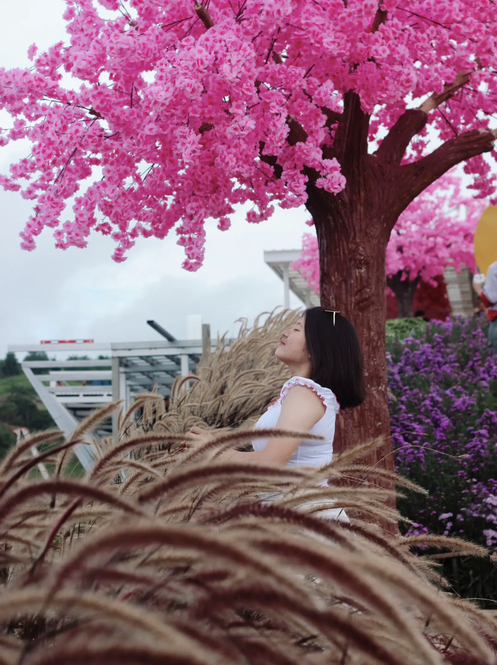 Hydrangea Cafe Khao Kho ⛰️ | แกลเลอรีที่โพสต์โดย 𝐂𝐚𝐧𝐨𝐞𝐢 ♡ | Lemon8