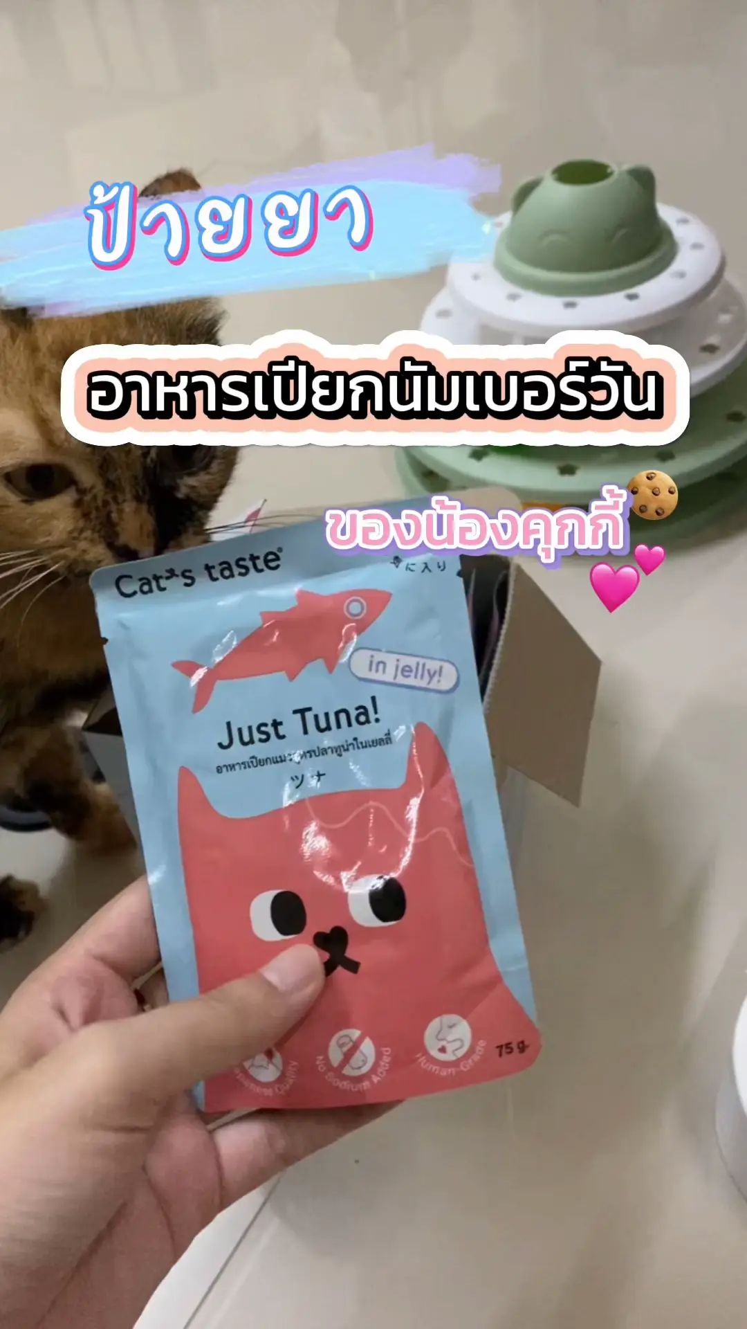 อาหารเปียกน้องแมว | วิดีโอที่เผยแพร่โดย E A R N | Lemon8