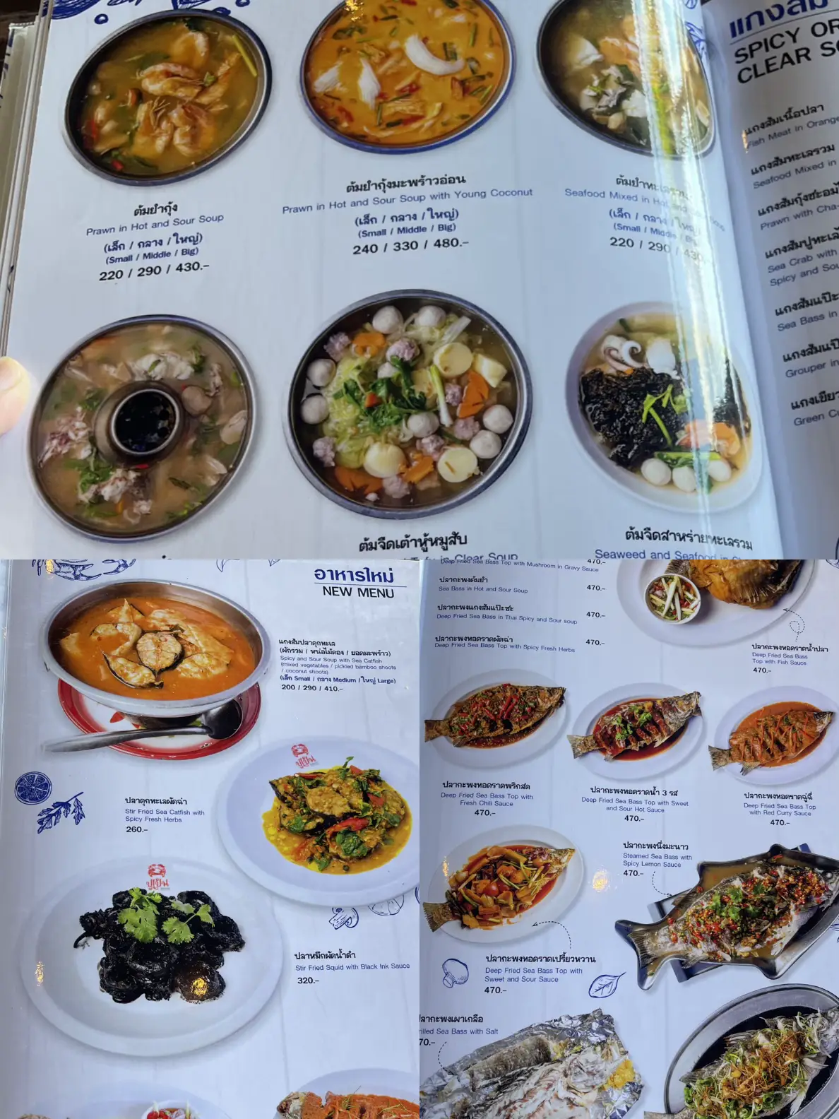 ร้านเด็ด💥พัทยา [ ปูเป็นซีฟู้ด] 🦀 | Gallery posted by iam_petch | Lemon8