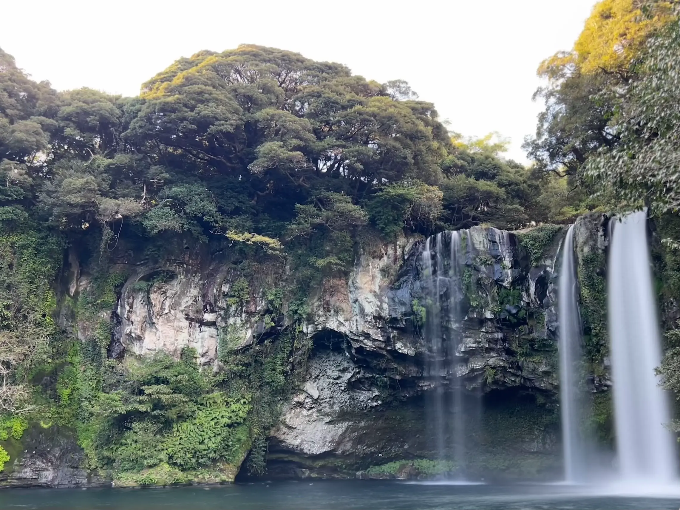 First time in soju land 🇰🇷 | Jeju leg | Day 2 p.m. | Gallery posted by ...