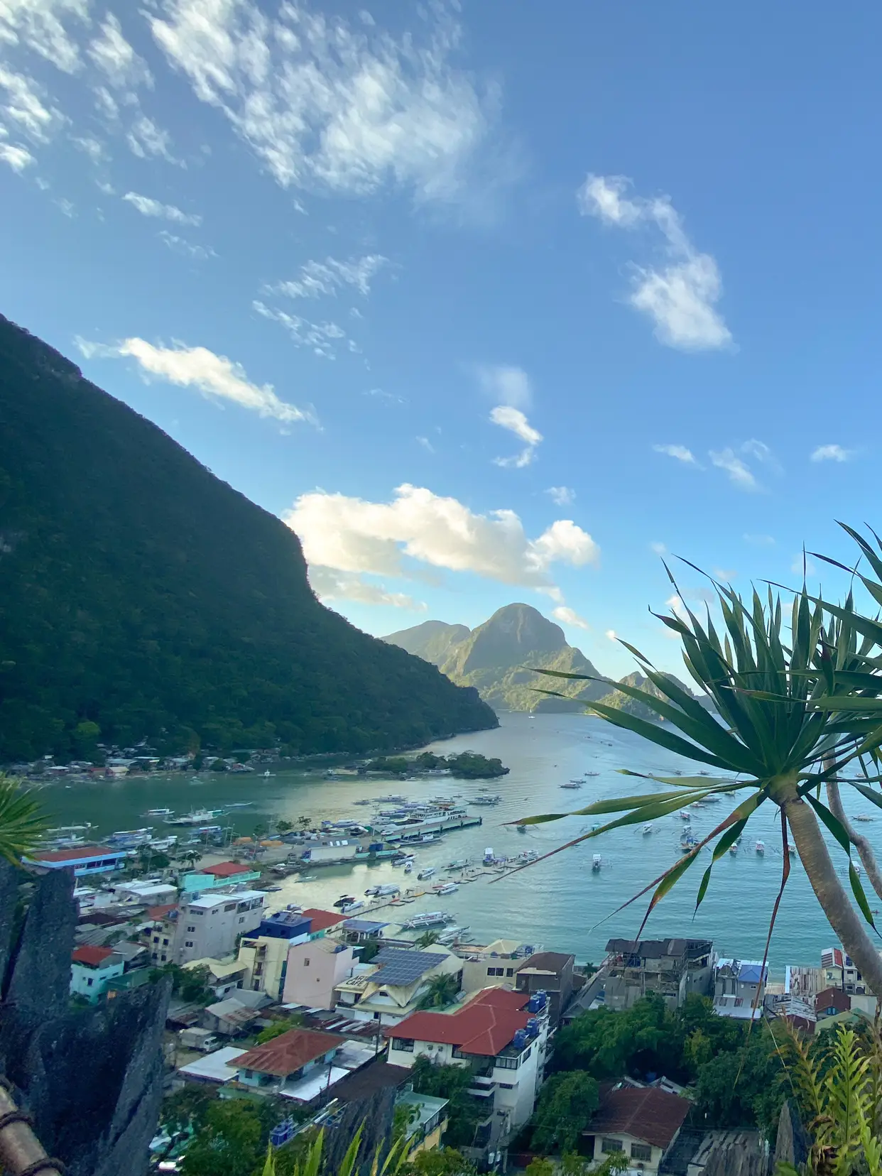Canopy Walk (El Nido, Palawan) | Gallery posted by modvstheworld | Lemon8