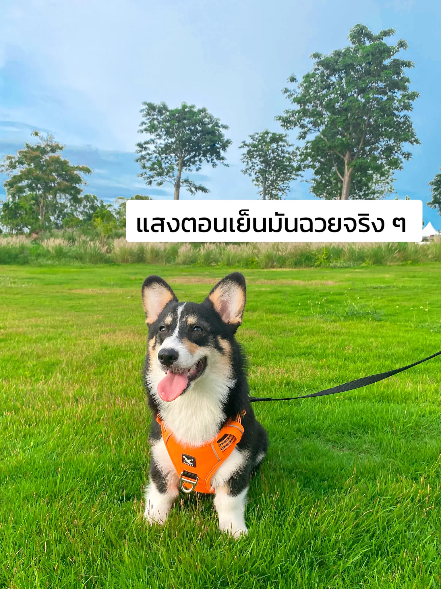 19 ไอเดียยอดนิยมเกี่ยวกับ ที่พักพัทยา Wisdom Valley ในปี 2024