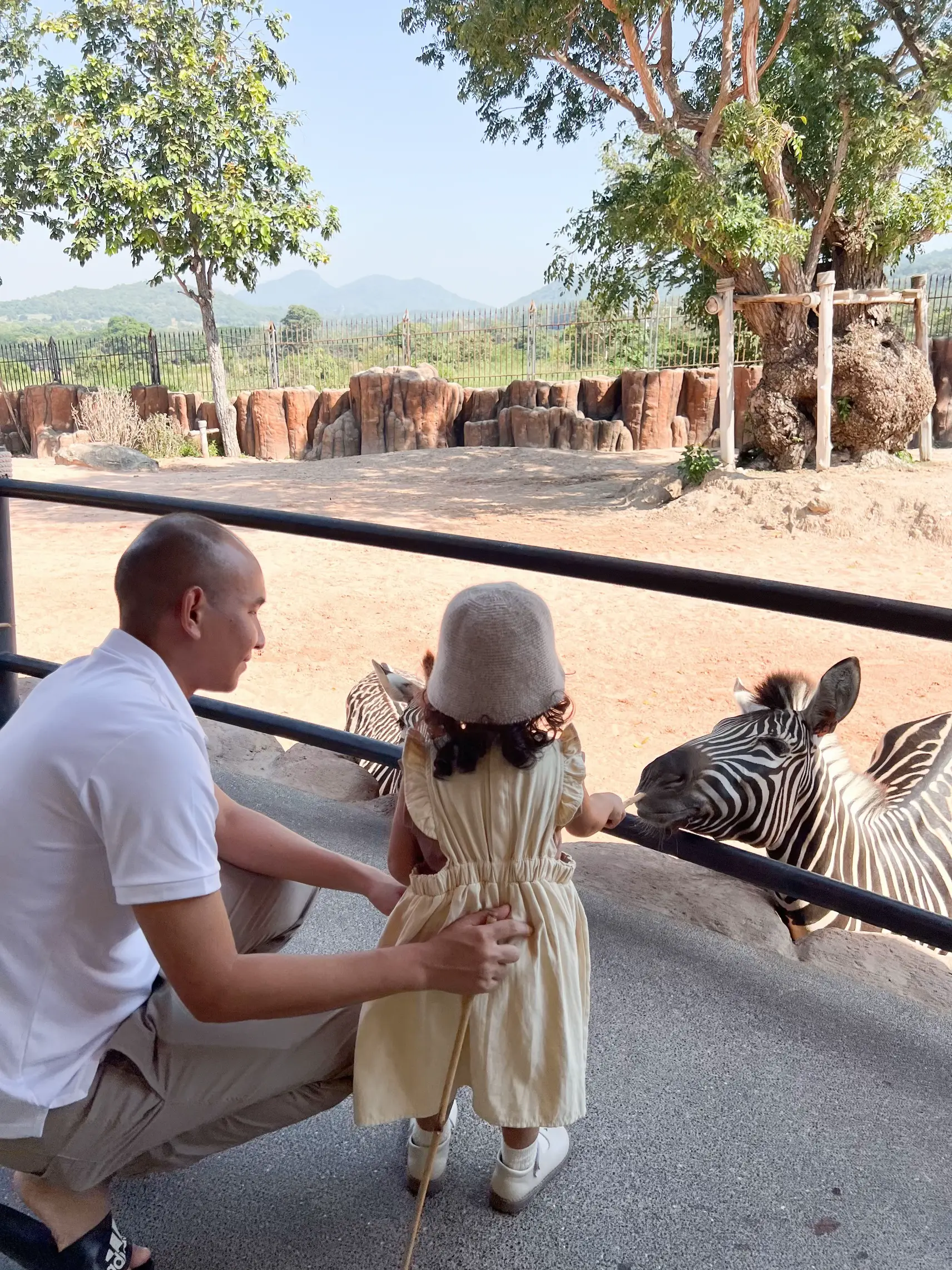 Hua Hin Safari & Adventure Park | แกลเลอรีที่โพสต์โดย Wirakornny | Lemon8