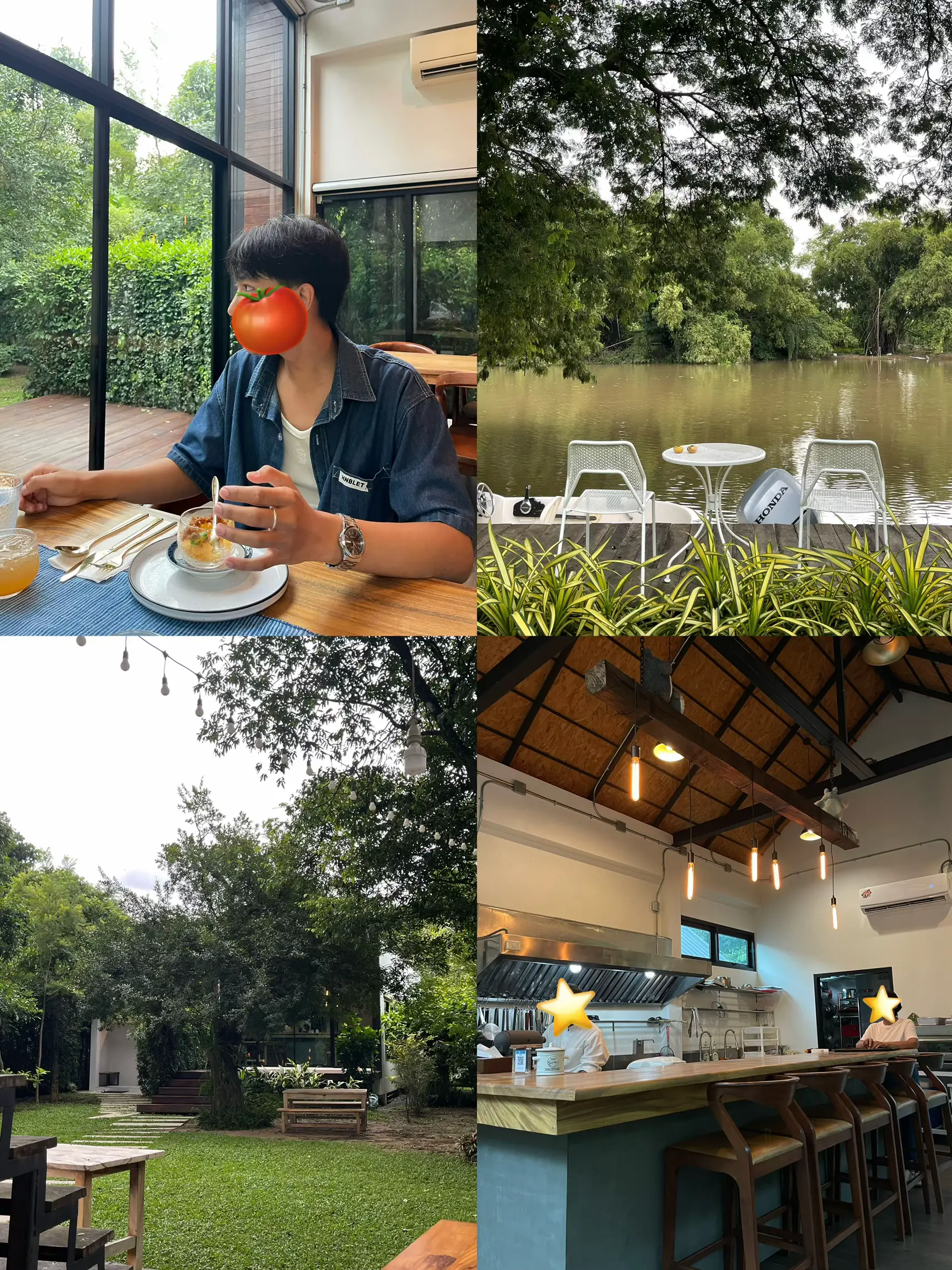 Decandra สุพรรณบุรี | แกลเลอรีที่โพสต์โดย Ananta | Lemon8