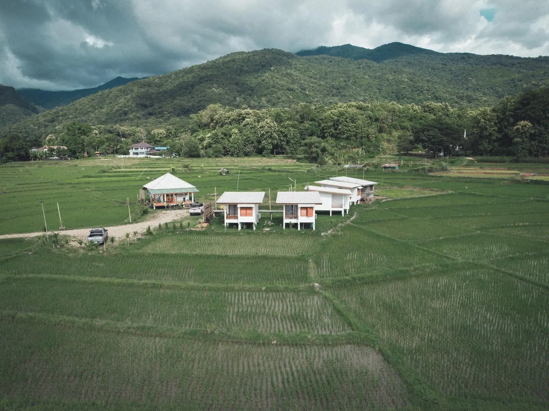 CHOM NA KAING DOI NAN ชมนาเคียงดอย | แกลเลอรีที่โพสต์โดย One February ...