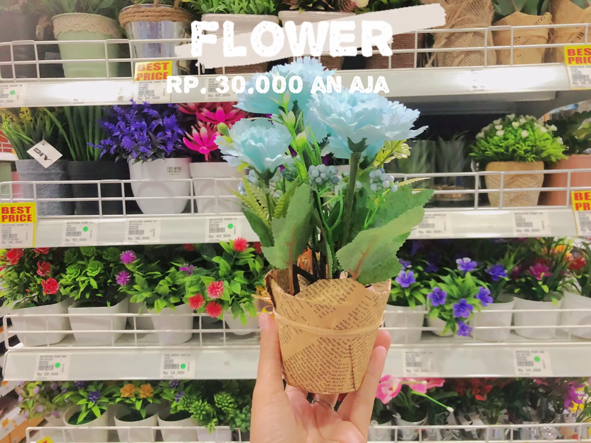 Rekomendasi Kado di Mr. DIY | Galeri diposting oleh Aprialpianor | Lemon8