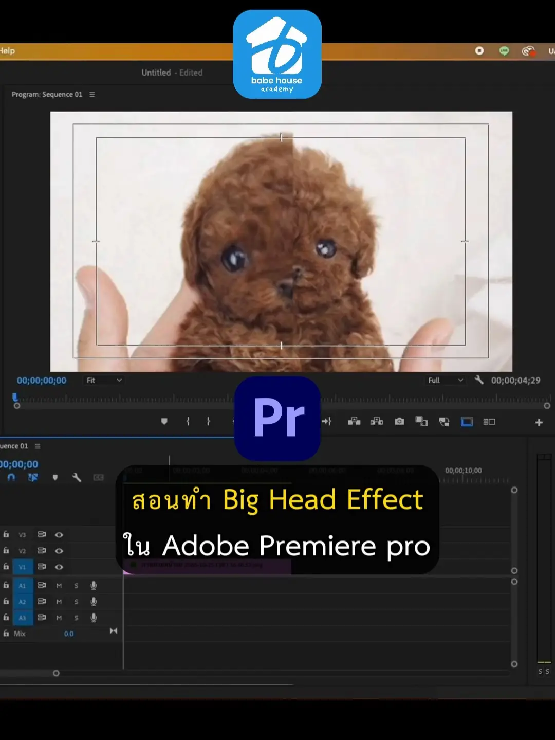 สอนทำ Big Head Effect ใน Adobe Premiere Pro🎞️ 🏼 | วิดีโอที่เผยแพร่โดย Bearbykim | Lemon8