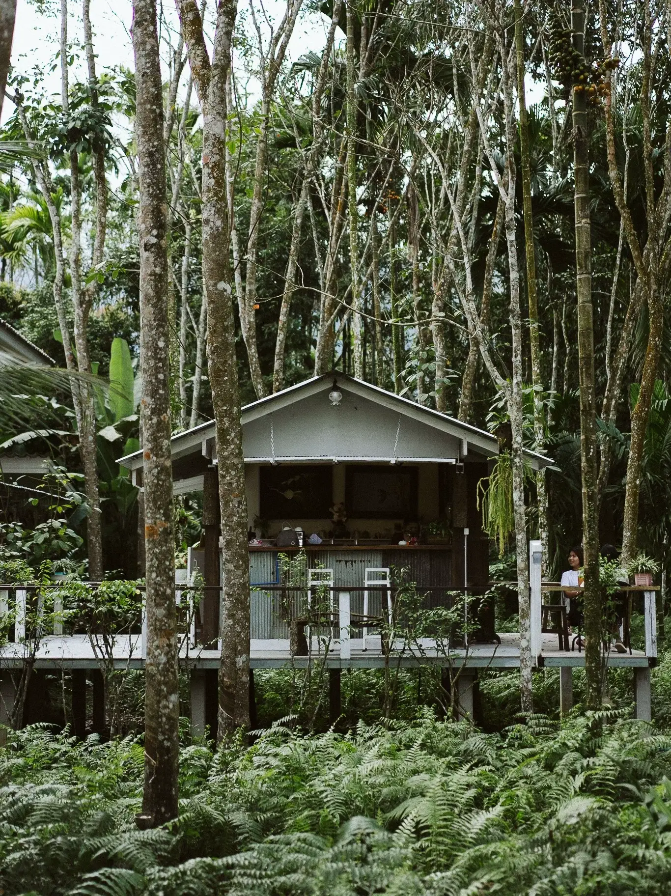 เที่ยวกงหราพัทลุง 2วัน 1คืนไปไหนดี | แกลเลอรีที่โพสต์โดย Nat.nattapon | Lemon8