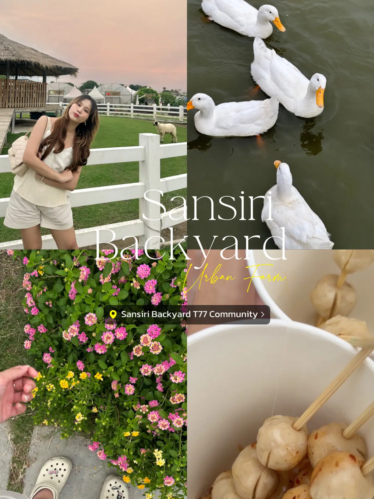 วิธีไป Sansiri Backyard | 2024 ประสบการณ์ผู้ใช้จริงบน Lemon8