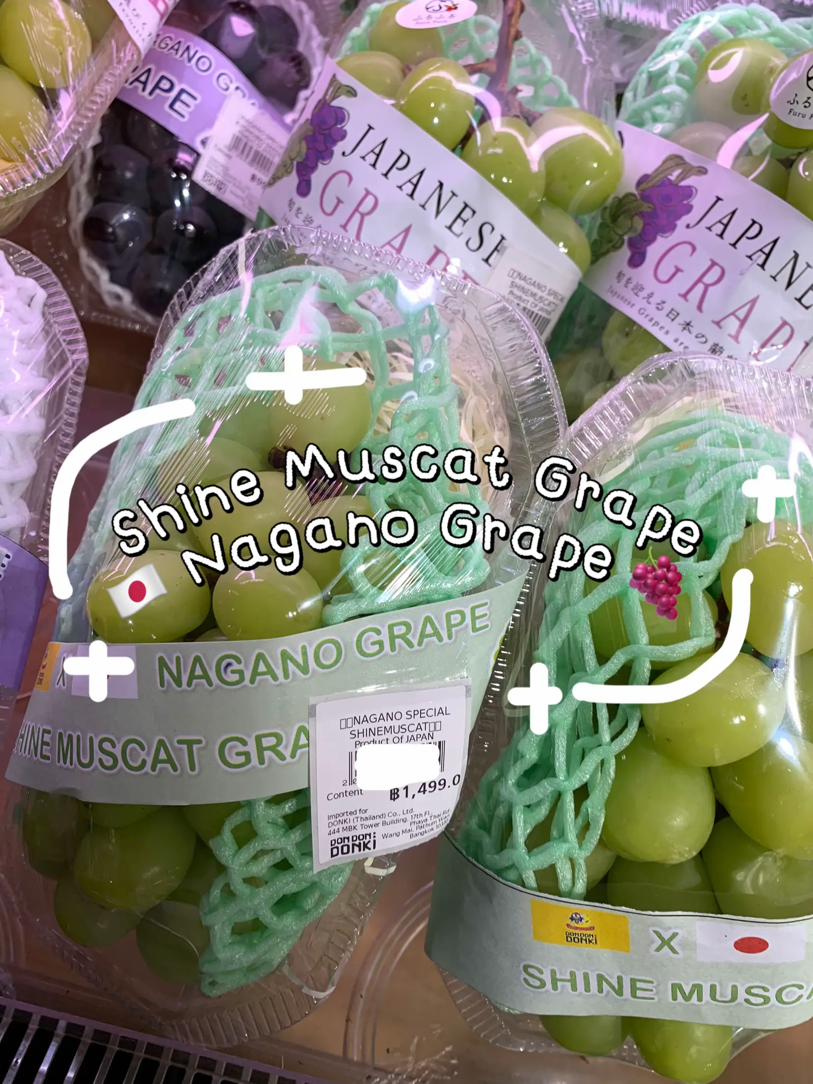 Shine Muscat Grape Nagano Grape 🍇 | แกลเลอรีที่โพสต์โดย balen | Lemon8