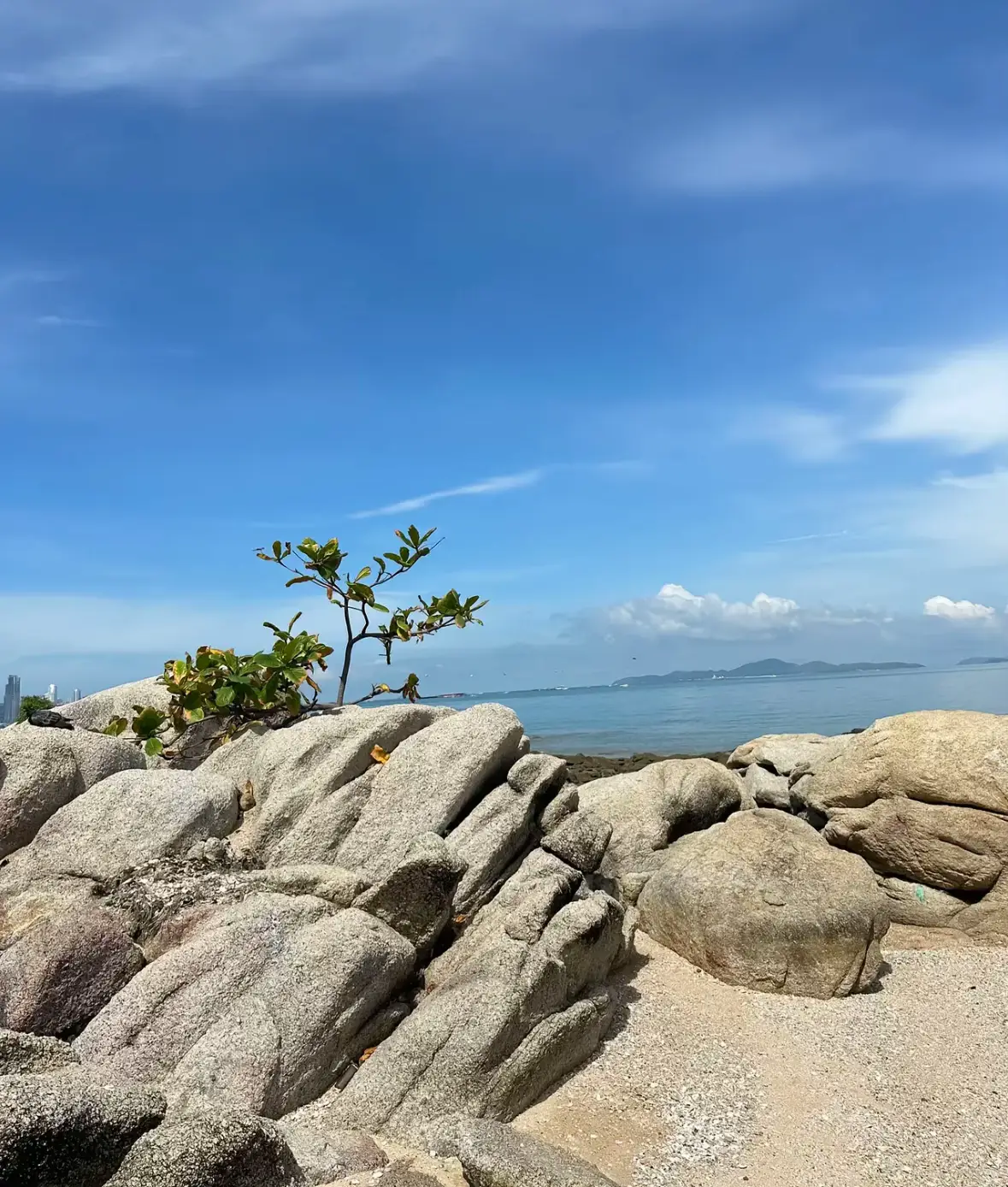 หาดลับพัทยา mood ดีม๊ากกก 🏖️ | แกลเลอรีที่โพสต์โดย Cherlisa Pee🩵 | Lemon8