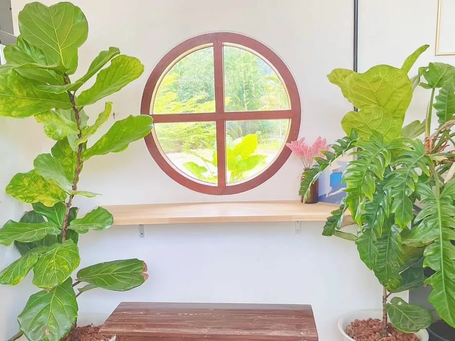 225 Cafe' homemade 🏡⛺🌳🍃 | แกลเลอรีที่โพสต์โดย 🍭🍦Fonniiz🍦🍭 | Lemon8