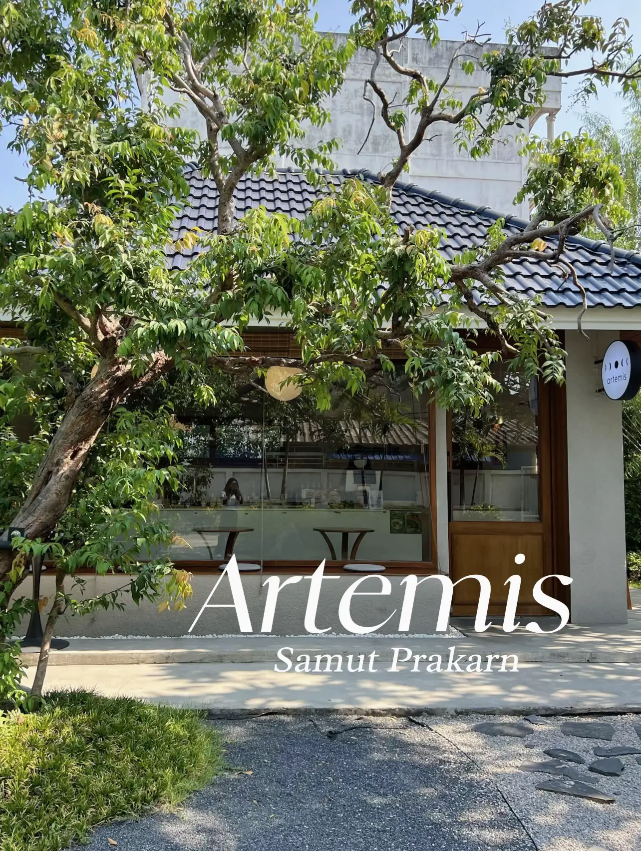 緑茶で有名なTell Per Cafe|Artemis Cafe🌱 | isfaaiが投稿したフォトブック | Lemon8