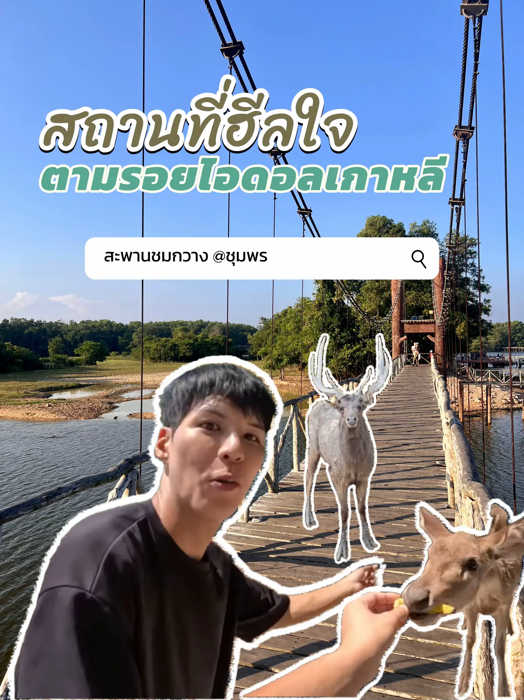 สถานที่ฮีลใจ @ชุมพร ตามรอยพี่จอง คัลแลน | แกลเลอรีที่โพสต์โดย ข้าวฟ่าง ...