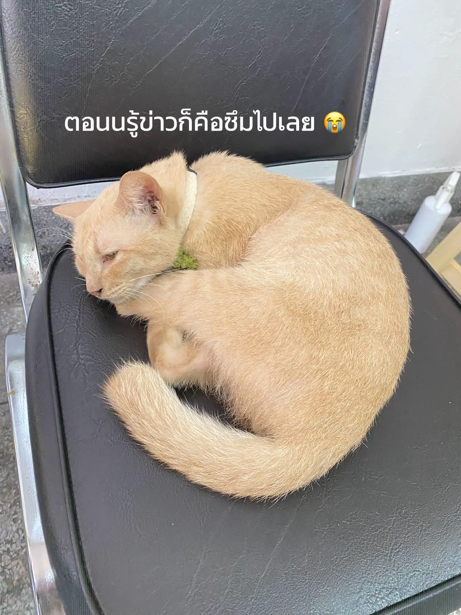 When winning a bonus... but pushing the white envelope 😭🥹 | Gallery ...