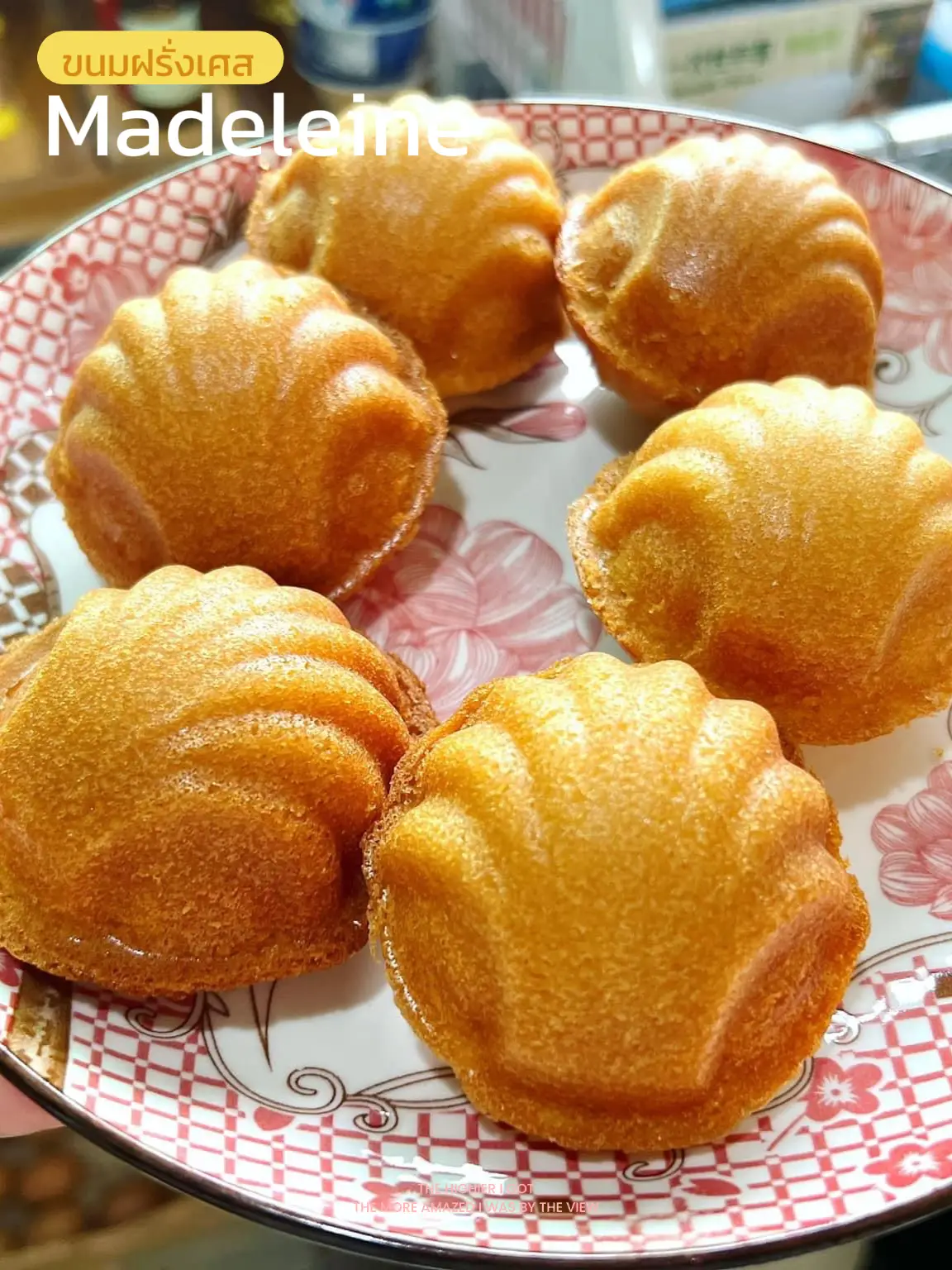 มาเดอแลน (Madeleine) | แกลเลอรีที่โพสต์โดย Ausap | Lemon8