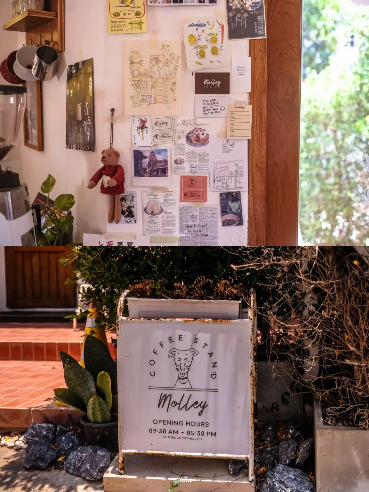 Molley Coffee Stand คาเฟ่หัวหินน่ารักนุบนิบ 🏠 | แกลเลอรีที่โพสต์โดย หนี ...