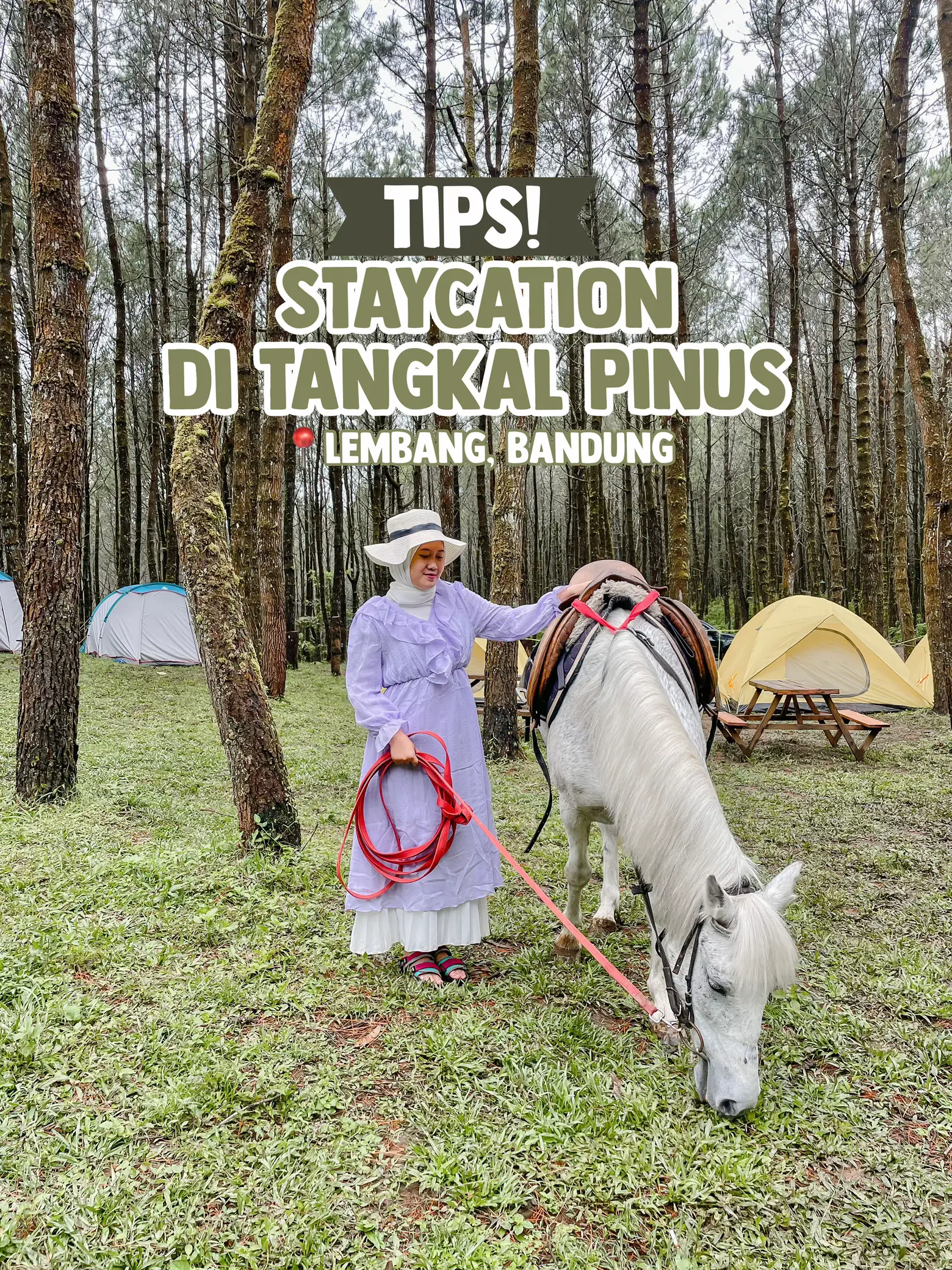 TIPS STAY CATION DI TANGKAL PINUS LEMBANG😍 | Galeri diposting oleh ...