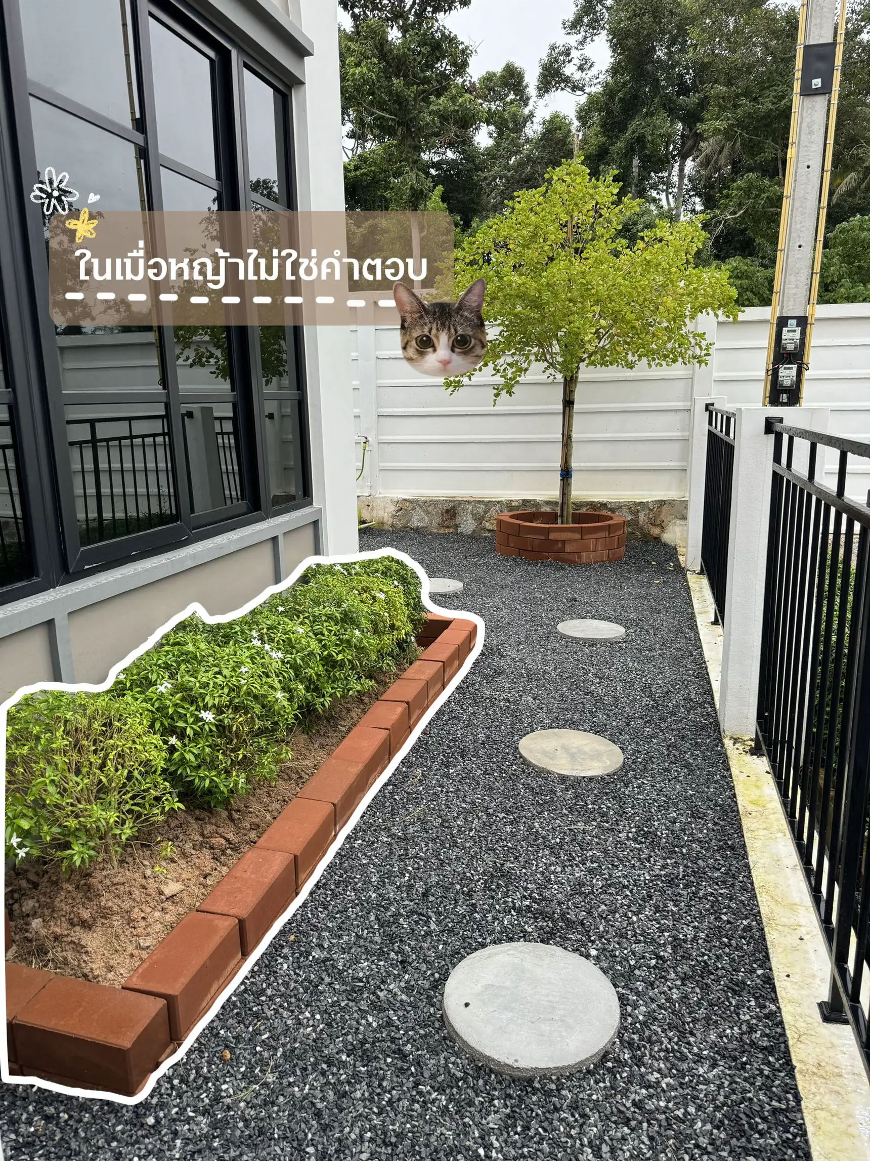 ในเมื่อหญ้าไม่ใช่คำตอบ | แกลเลอรีที่โพสต์โดย 🐌PATCHAREE | Lemon8