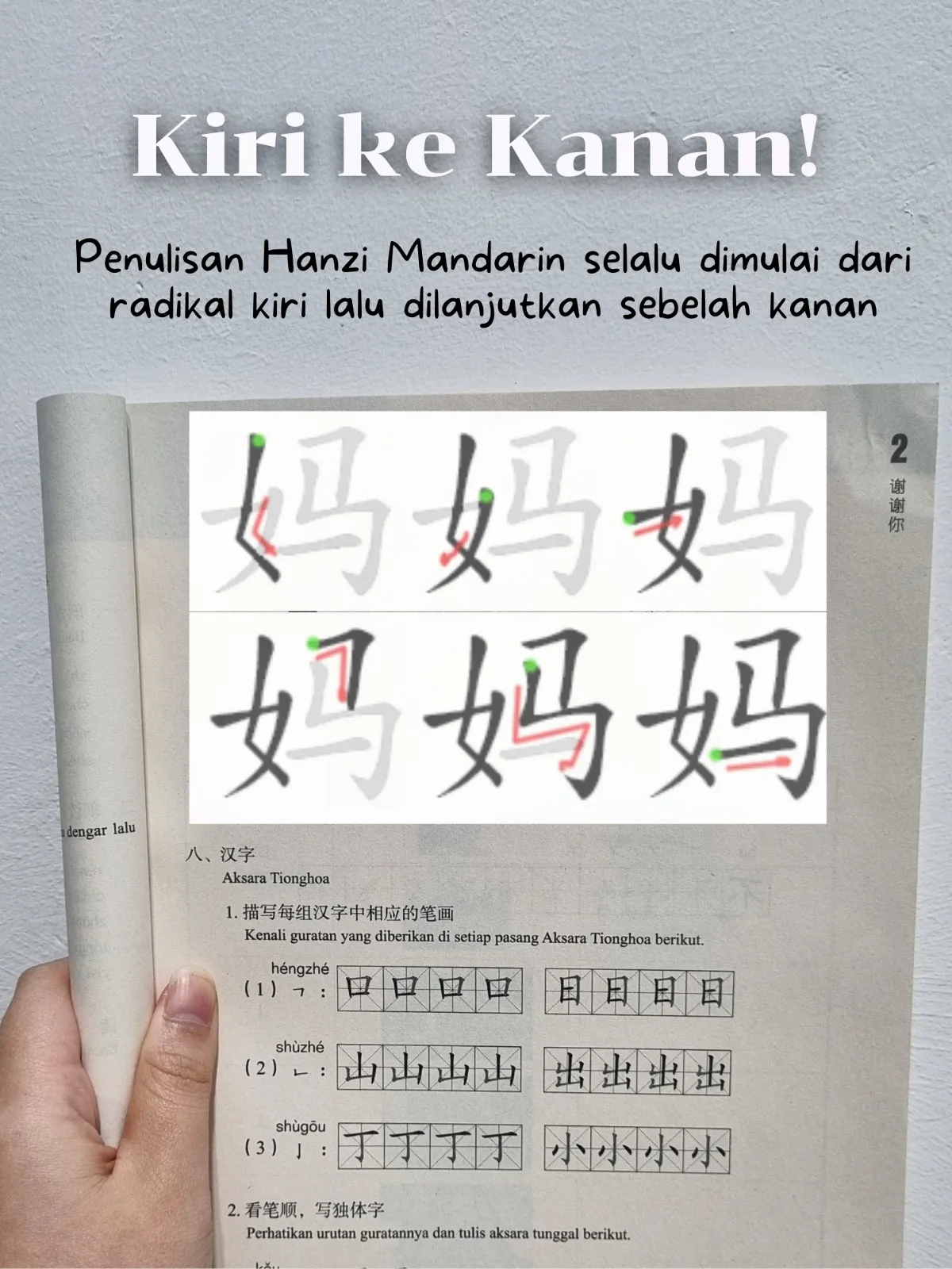 Tips Tulis Hanzi Mandarin😎👍 | Galeri diposting oleh eli🌱 丽娜 | Lemon8