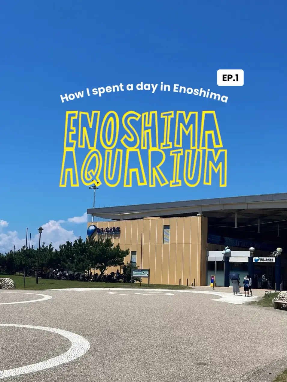 🇯🇵 แนะนำที่เที่ยวญี่ปุ่น #1.5 : พิพิธภัณฑ์สัตว์น้ำ Enoshima 🪼 | แกลเลอ ...