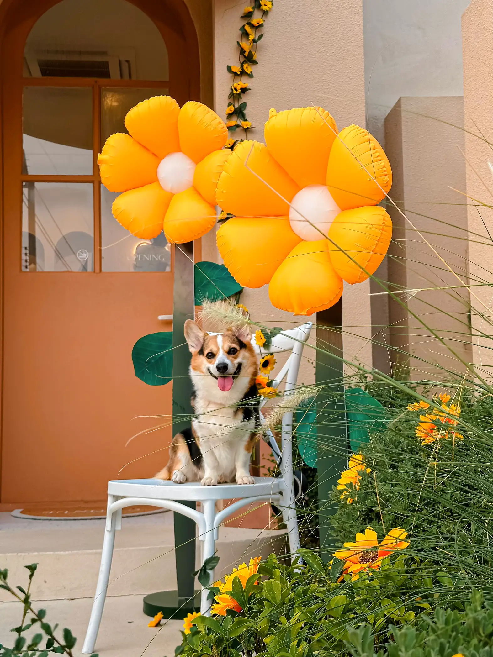 20 ไอเดียยอดนิยมเกี่ยวกับ คาเฟ่ตีมสงกรานต์ ในปี 2024