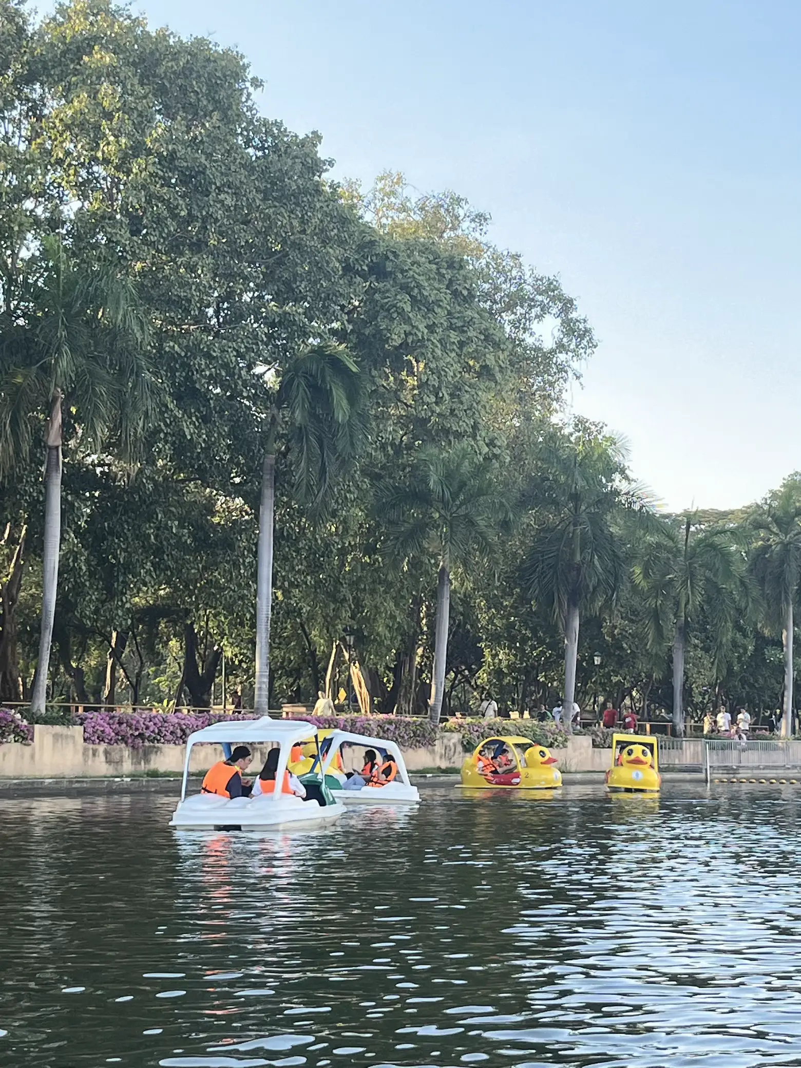 ไปปั่นเป็ดที่สวนเบญกันเถอะ! | แกลเลอรีที่โพสต์โดย Tontarn.pp | Lemon8