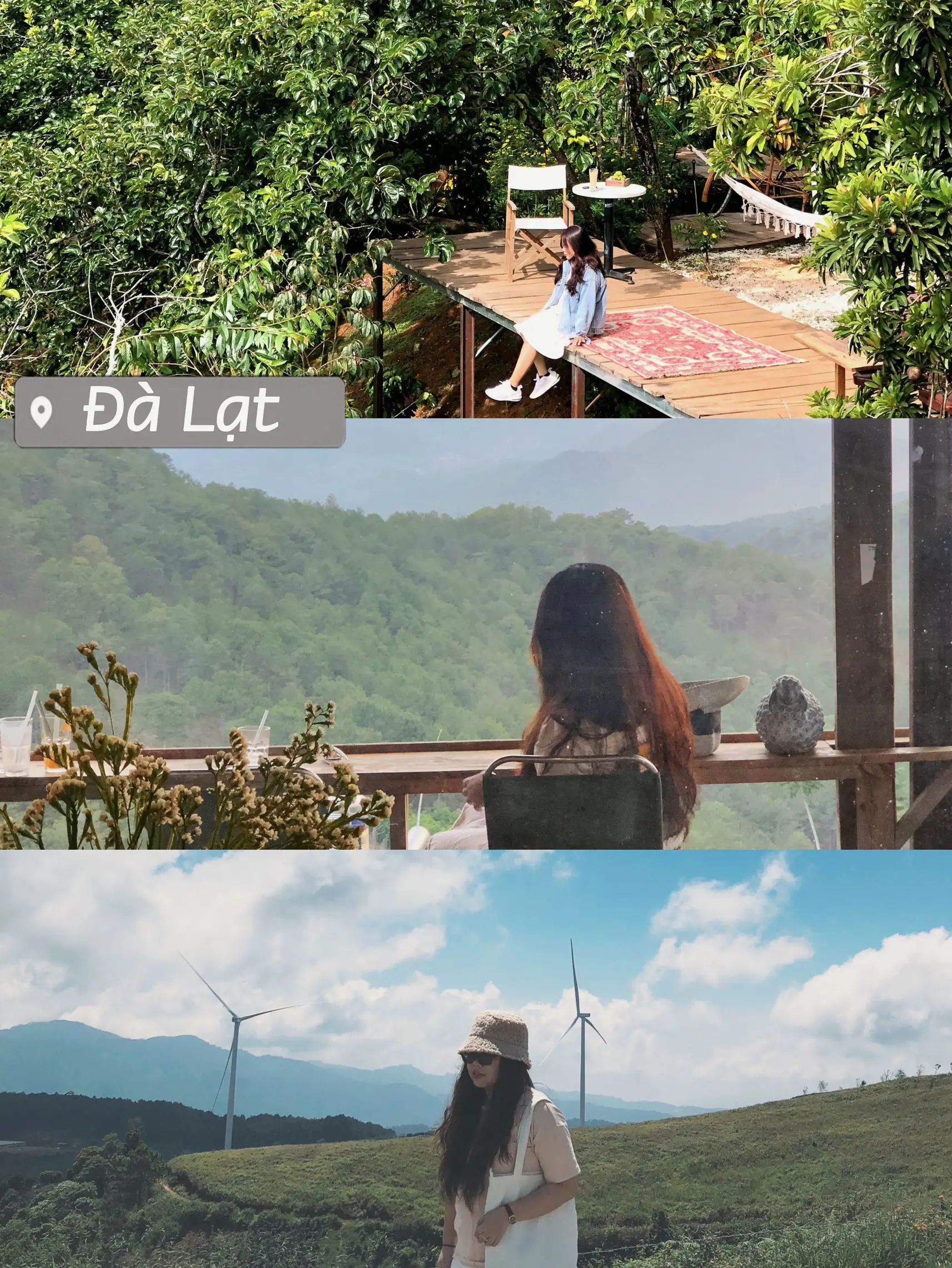 TREE BEE - RỪNG XANH SUỐI MÁT GIỮA LÒNG THỦ ĐÔ | Bộ sưu tập do Lyine đăng | Lemon8