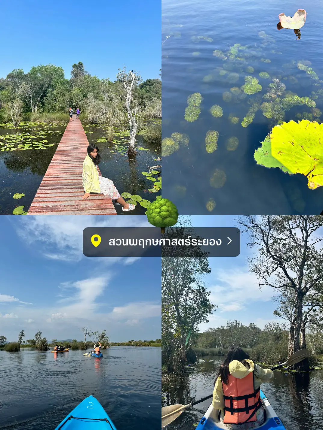 One Day Trip เทียวใกล้กรุงเทพฯ: Rayong🌊🏝️🥥 | แกลเลอรีที่โพสต์โดย Ashscope🍒 | Lemon8
