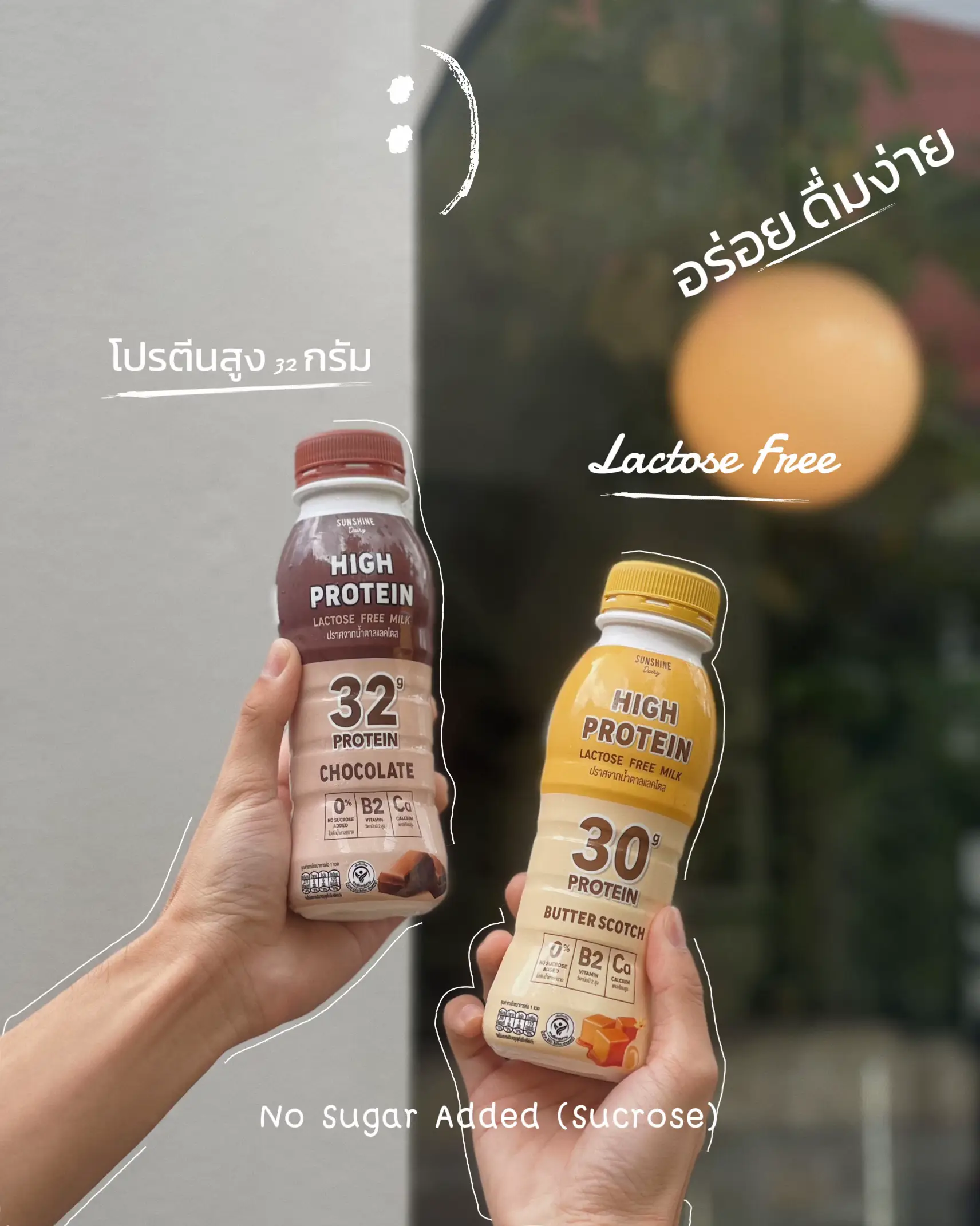 สายเฮลตี้ Sunshine Dairy High Protein 🐄🥛 | แกลเลอรีที่โพสต์โดย Iam ...