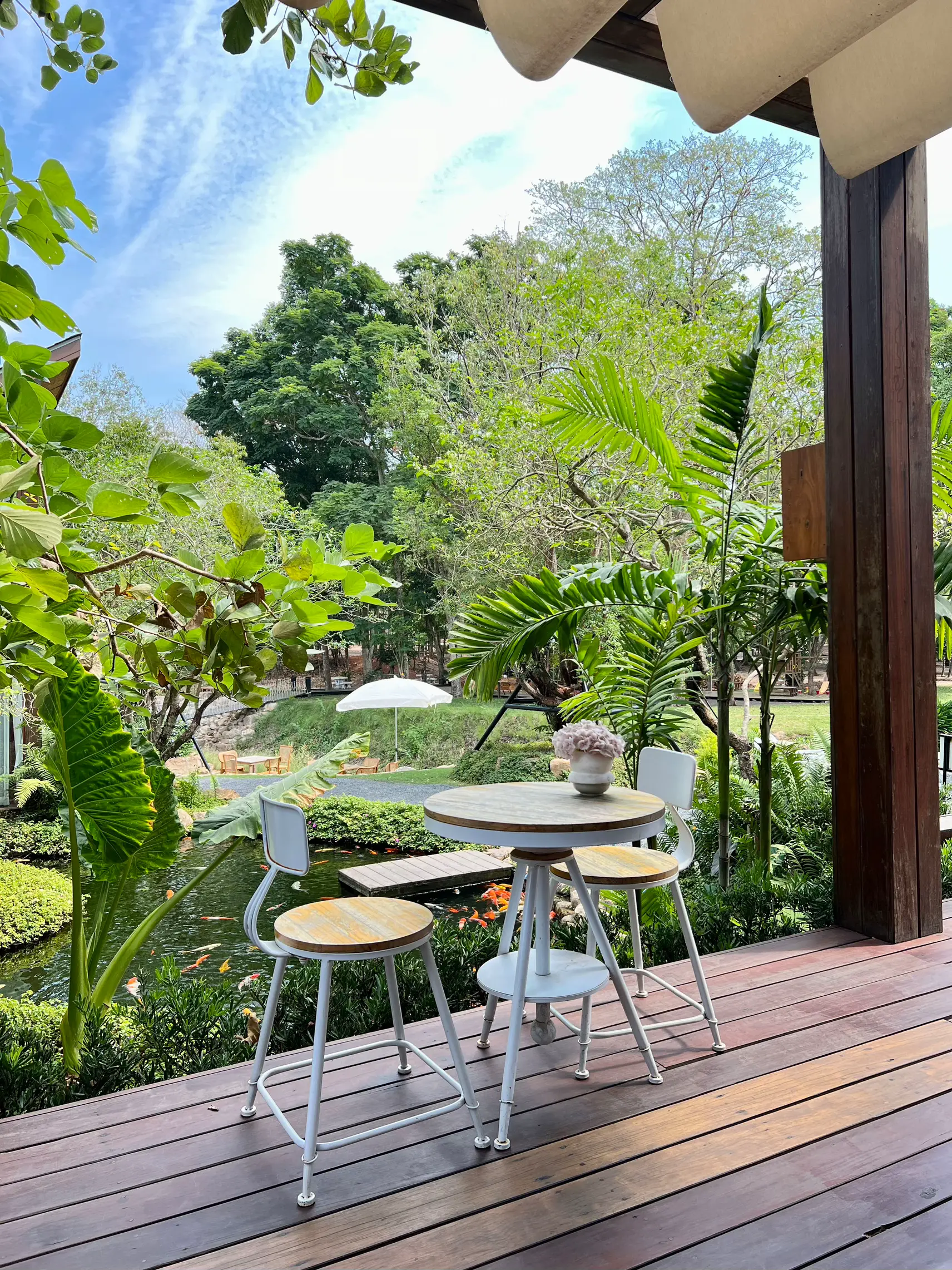 มนตราคาเฟ่ by ไร่วังบอน นครนายก | แกลเลอรีที่โพสต์โดย Ardy ️ | Lemon8