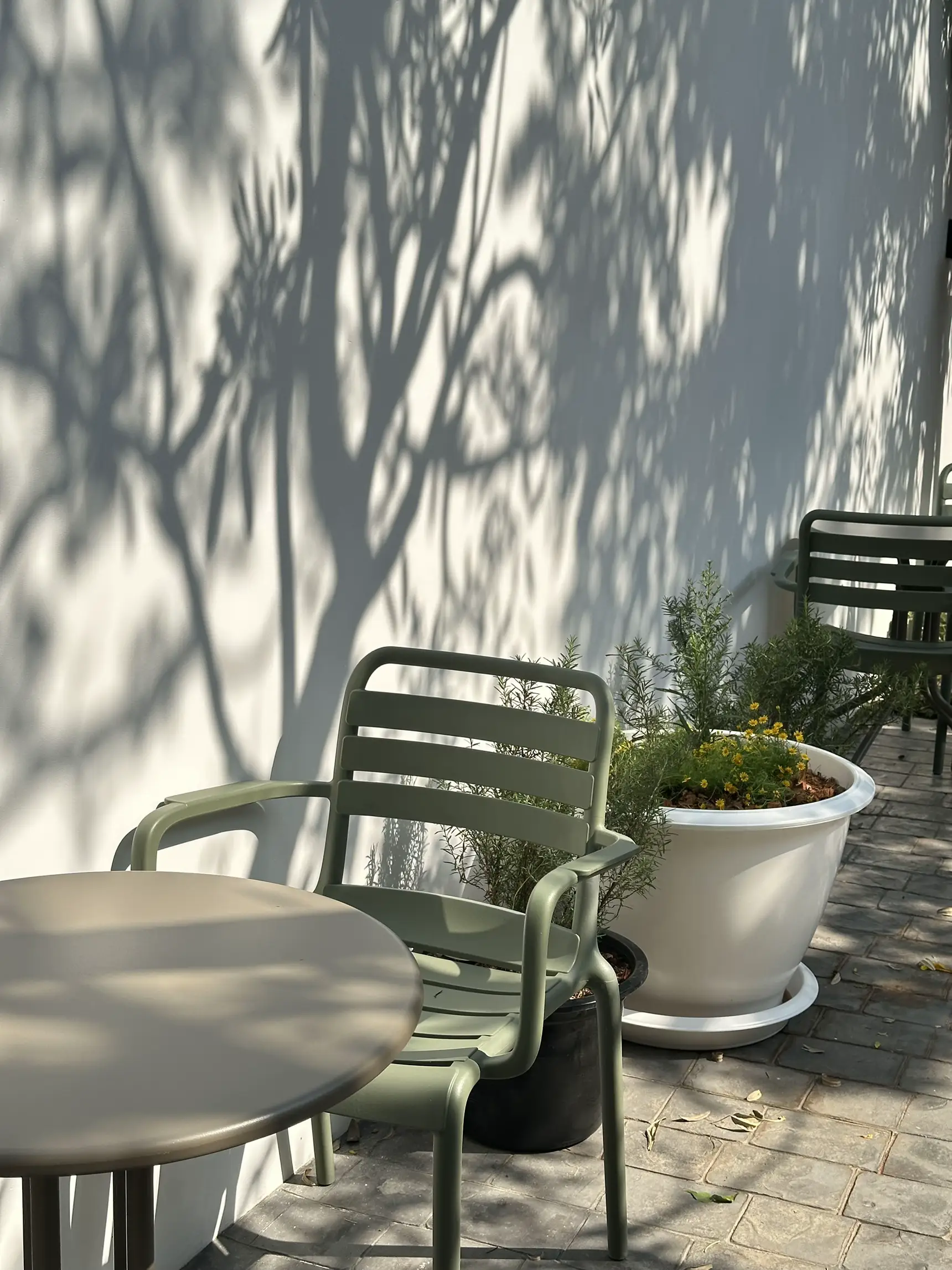 พิกัด คาเฟ่ เปิดใหม่ มุมถ่ายรูปดี แสงดี 💖🤏🏻 | แกลเลอรีที่โพสต์โดย Ammy Saranya | Lemon8