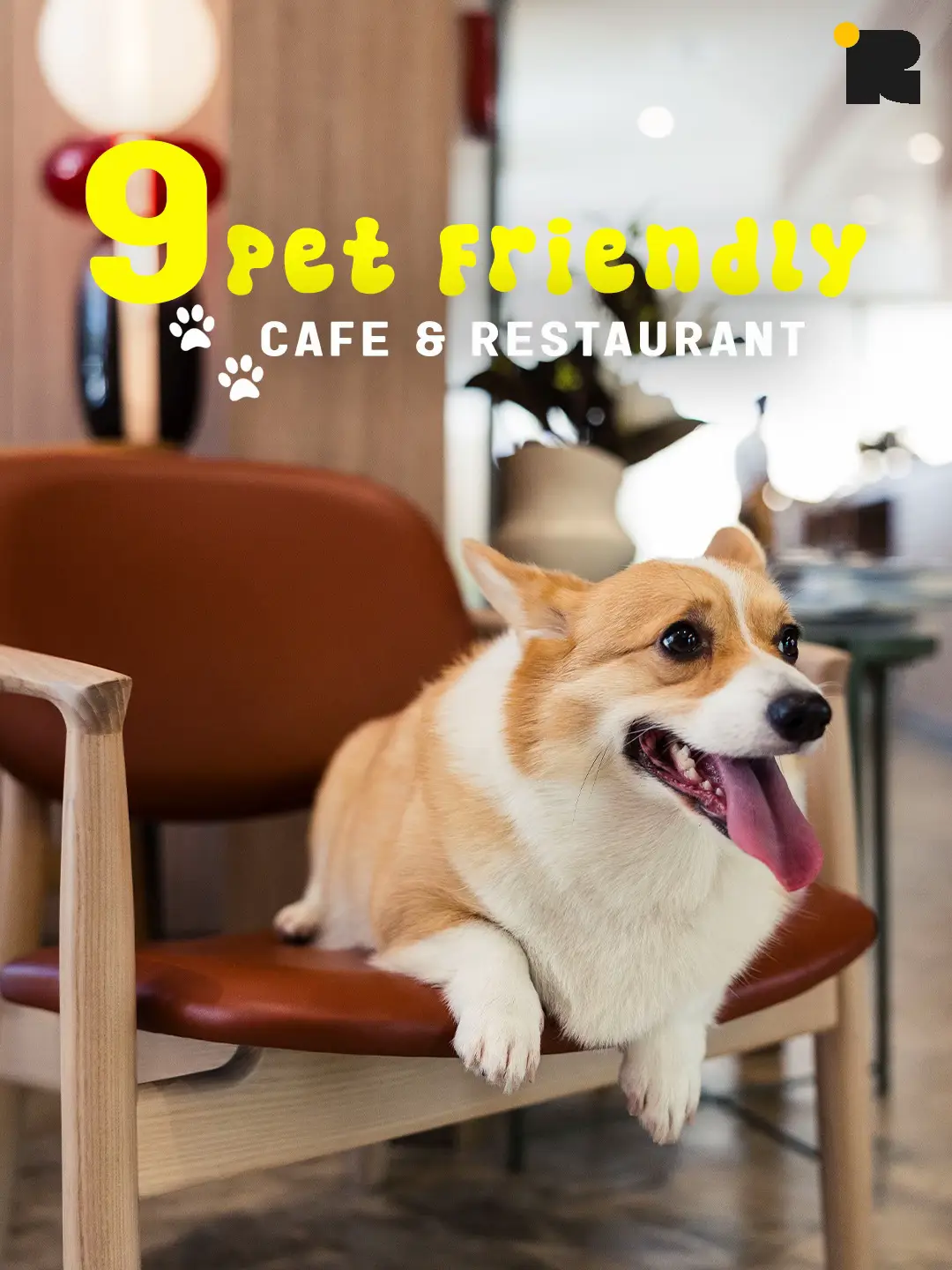 Let's take our master to the cafe! With 9 Cafe Pet Friendly | Gallery ...