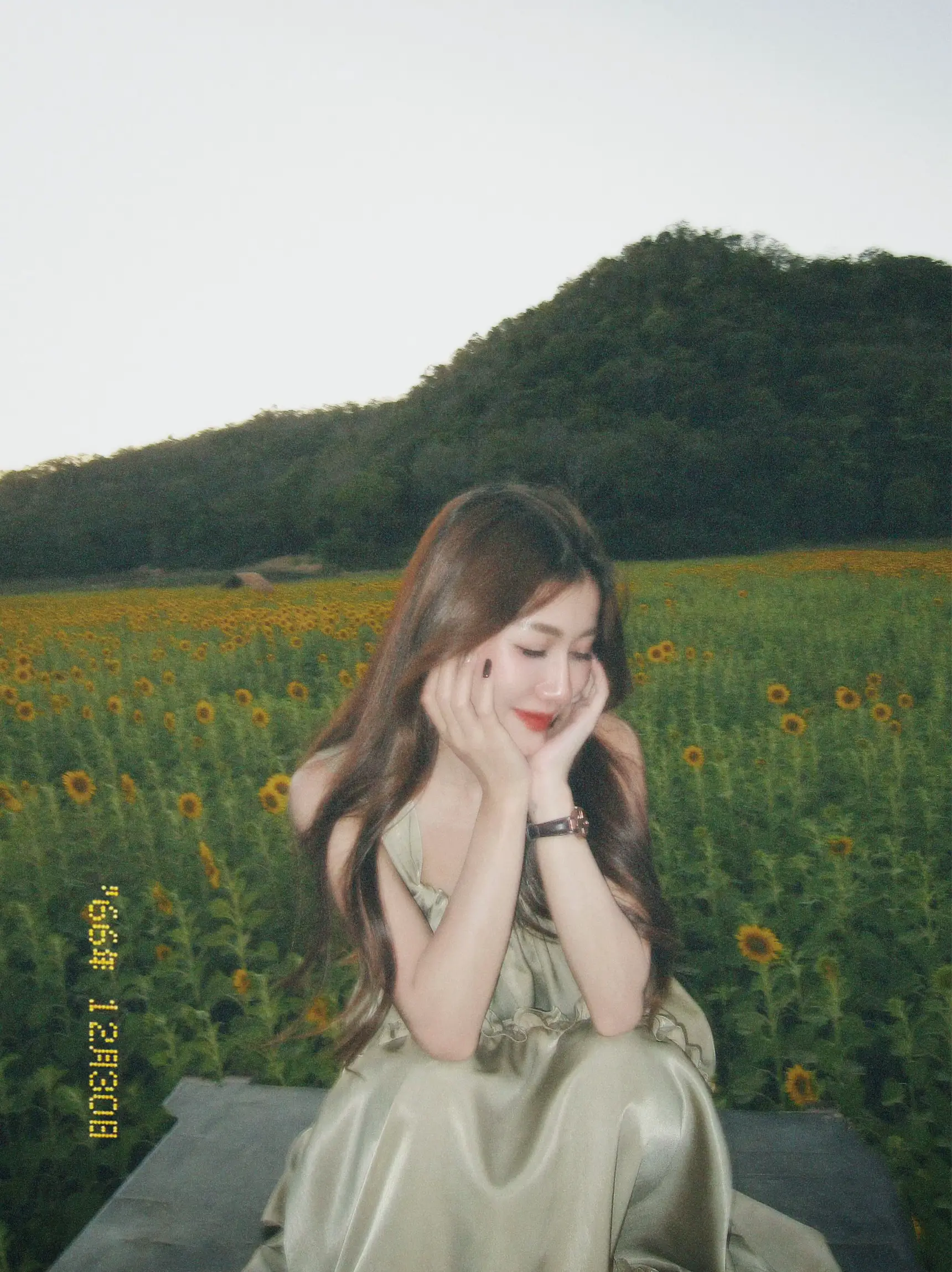 SUNFLOWER 🌻 | แกลเลอรีที่โพสต์โดย J'utha JT | Lemon8