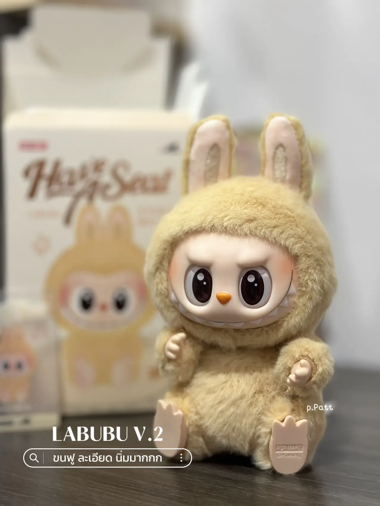 labubu v.2 | วิดีโอที่เผยแพร่โดย พิชชาแฮนด์เมด | Lemon8