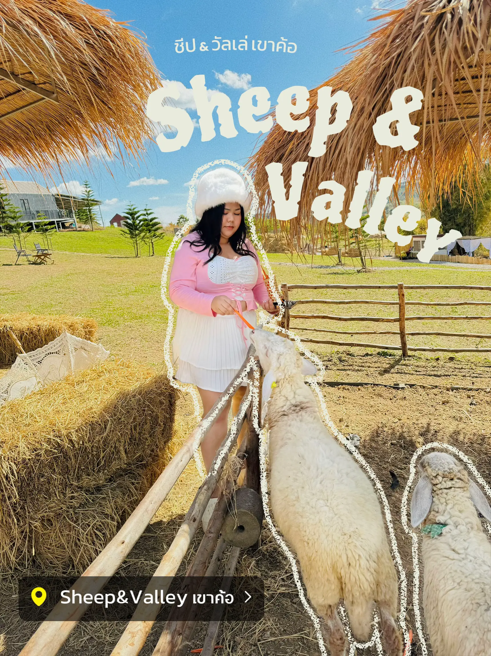 ฟาร์มแกะ ฟาร์มใจ | sheep&valley khaokho 🐑 | แกลเลอรีที่โพสต์โดย ...