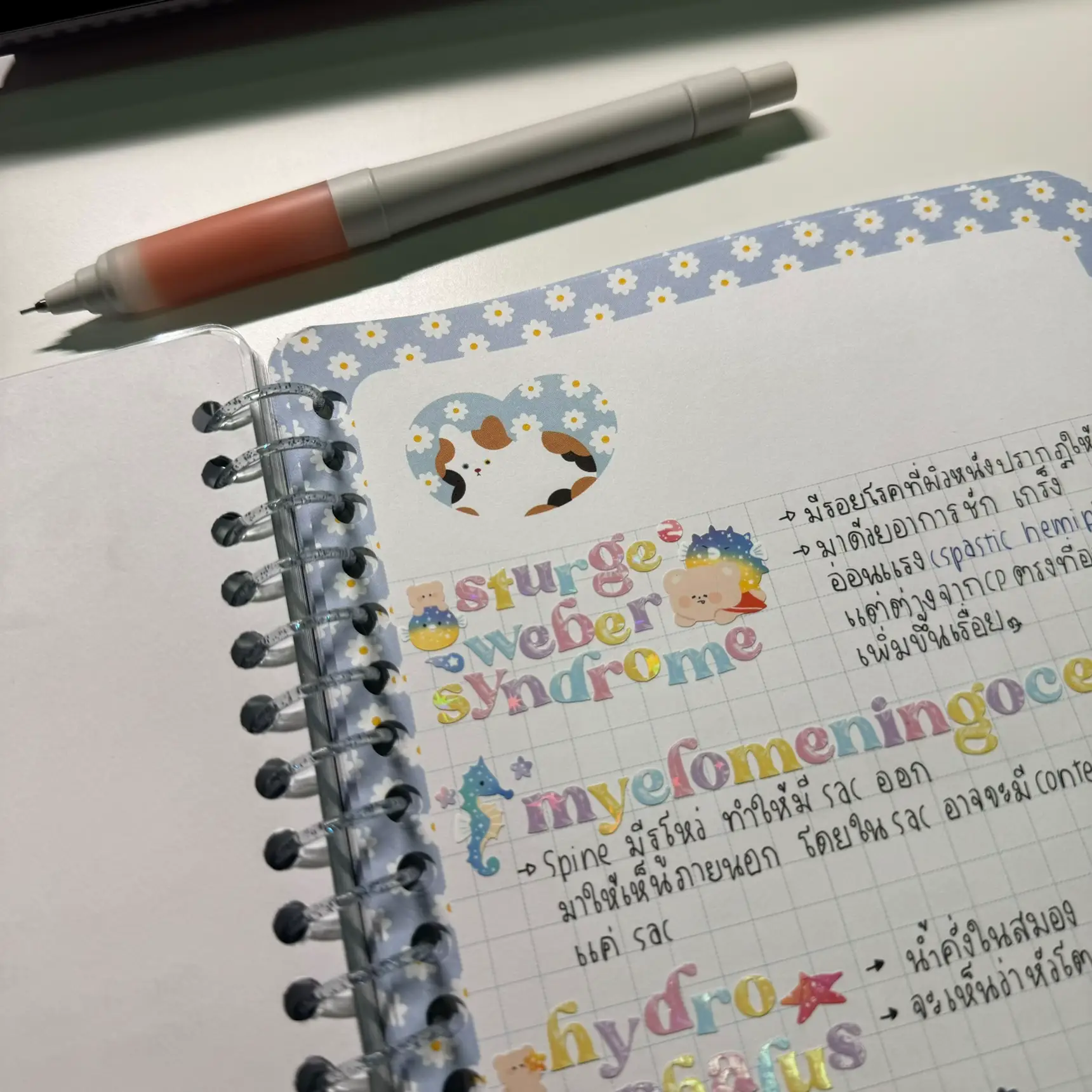 สรุปสมัยปี 3 🍋 | แกลเลอรีที่โพสต์โดย nnlazystudygram | Lemon8