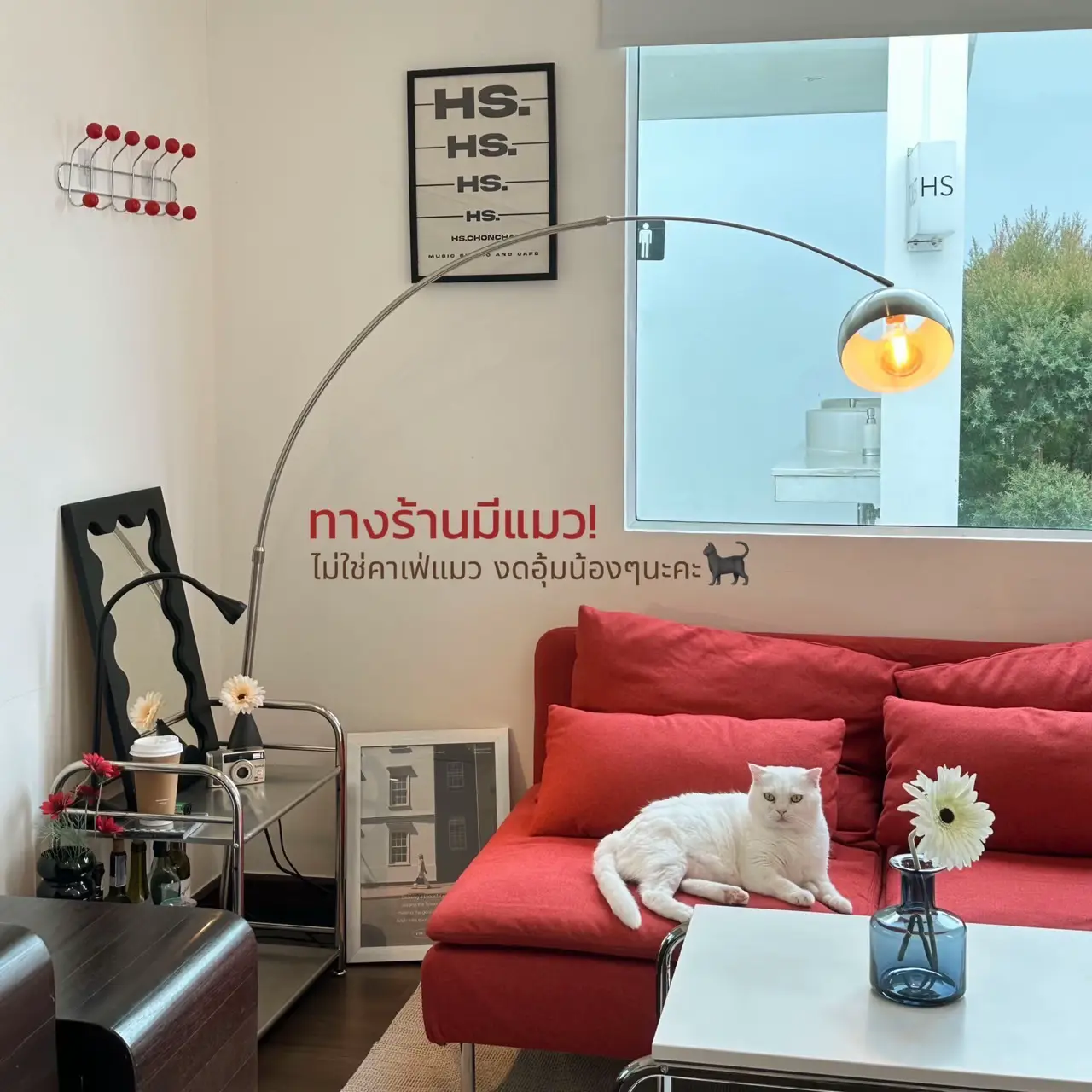 📍คาเฟ่รังสิต ! สตูดิโอ คลองหลวง ปทุม ! 🔎 | แกลเลอรีที่โพสต์โดย HS STUDIO | Lemon8