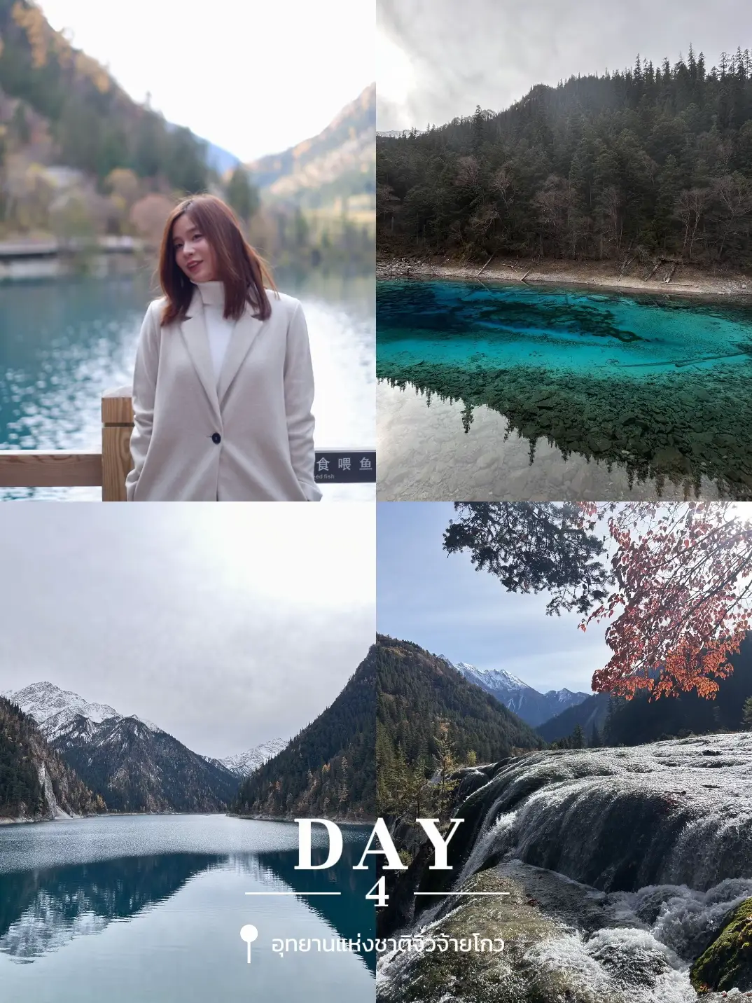 Chengdu กับทัวร์ 6 วัน 5 คืน 🍂🍁🏔️🇨🇳 | แกลเลอรีที่โพสต์โดย jjoyy | Lemon8