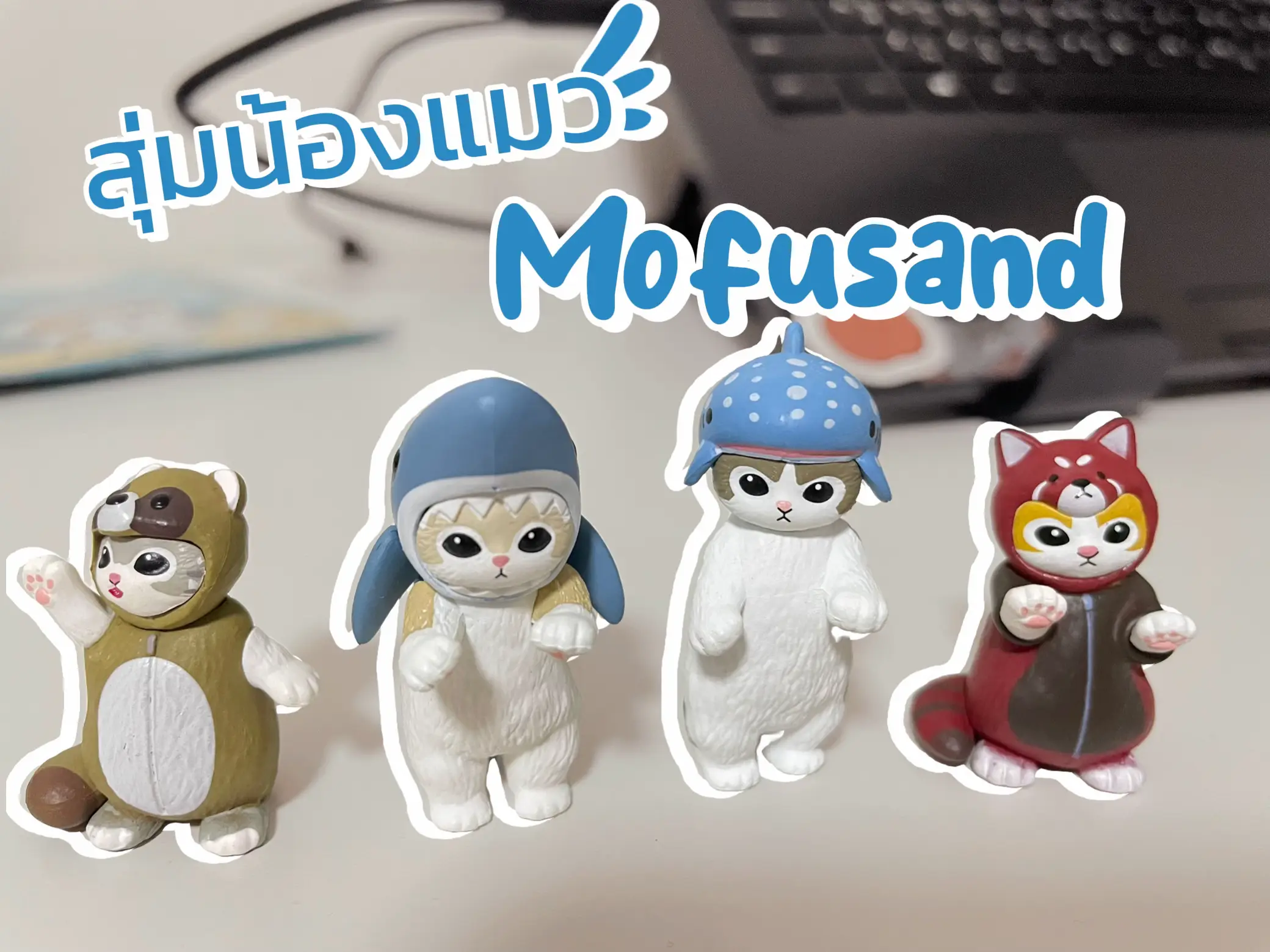 Mofusand | แกลเลอรีที่โพสต์โดย Onnicha '☆ | Lemon8