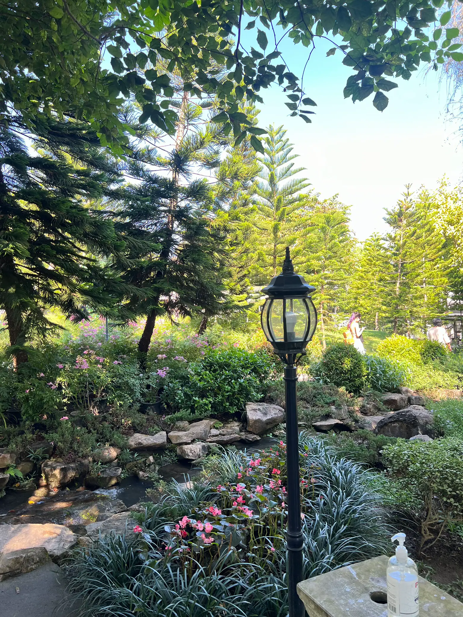 คาเฟ่ดอกไม้เชียงใหม่ 🌷💐 | แกลเลอรีที่โพสต์โดย Iseve.e | Lemon8