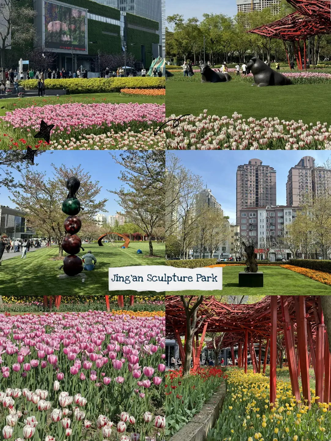 Shanghai 2024 - [Part1] | แกลเลอรีที่โพสต์โดย nmnicha | Lemon8