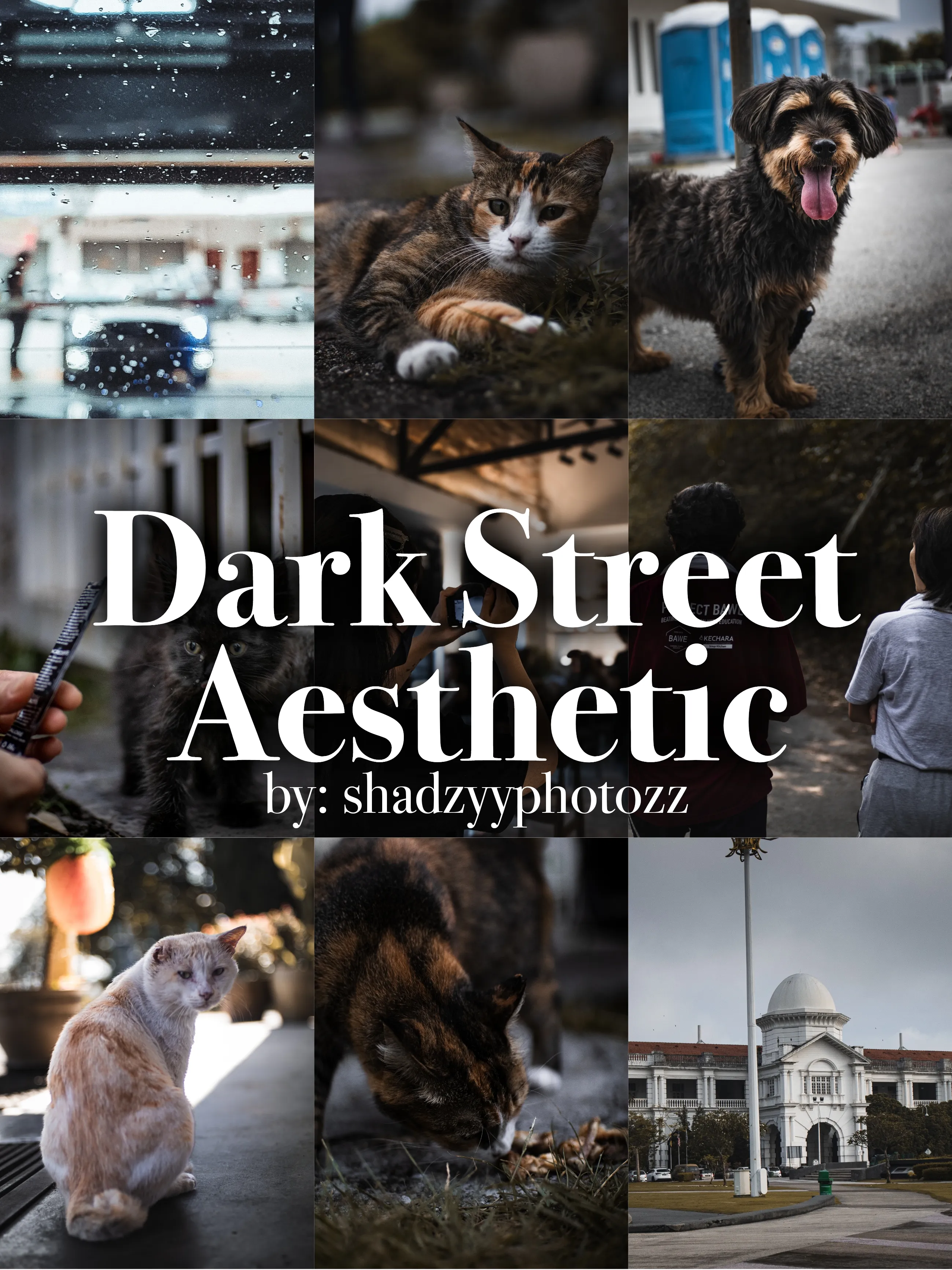 Dark Street Aesthetic || Lightroom Presets | Galeri disiarkan oleh ...