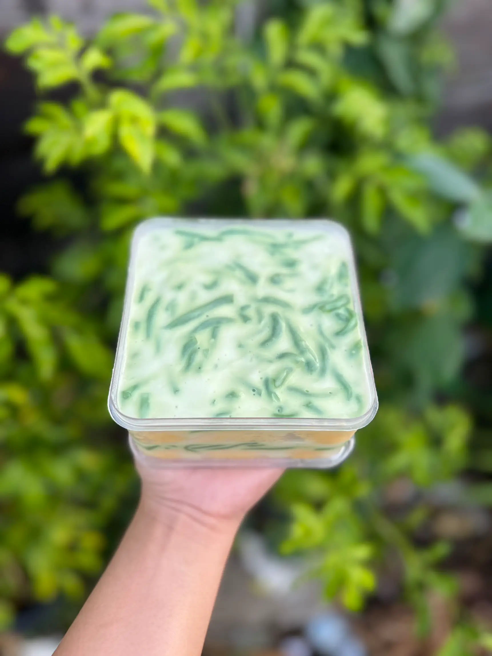 เค้กลอดช่อง | แกลเลอรีที่โพสต์โดย Wanlaya Tanam | Lemon8