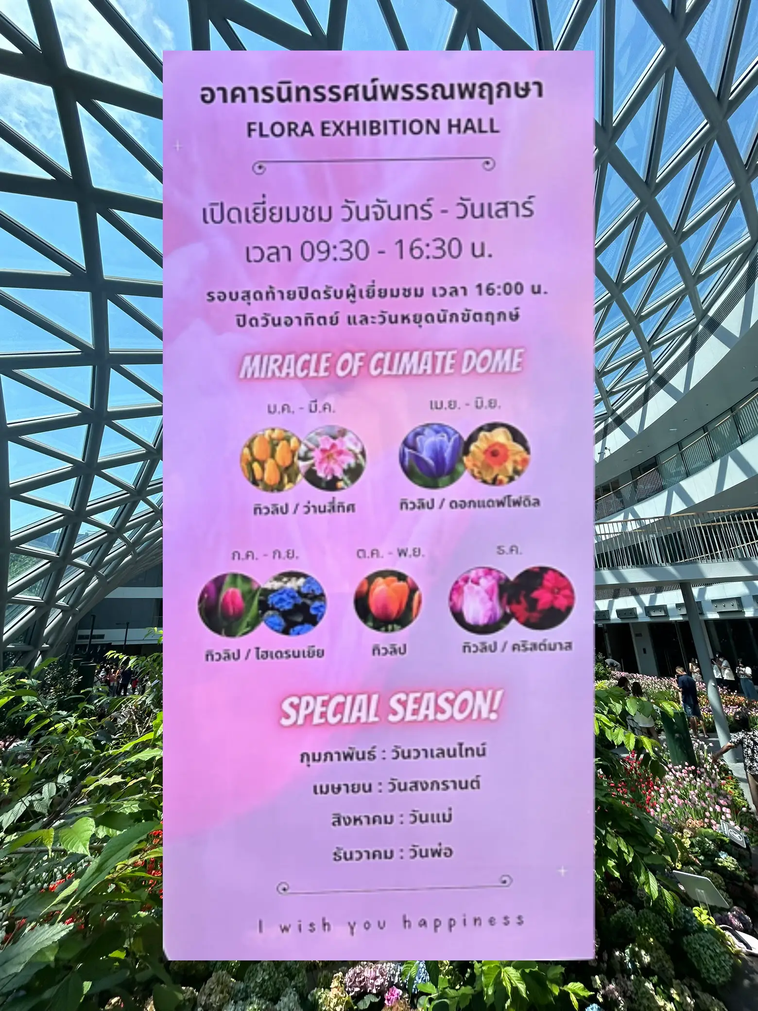 รีวิว ไปดูทิวลิปที่ระยอง สวย ฟรี มีให้ชมตลอดปี 🌷 | แกลเลอรีที่โพสต์โดย mary j prae | Lemon8