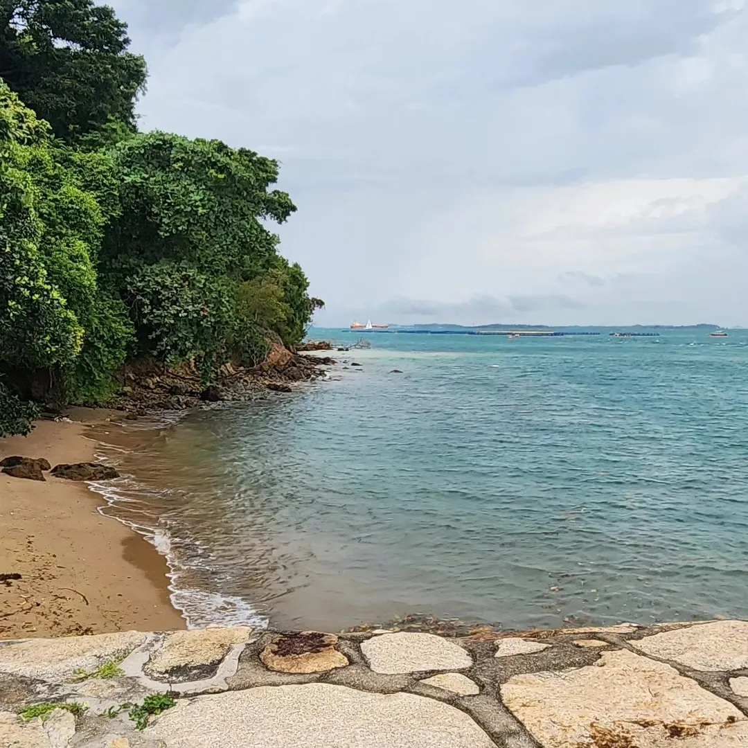 🇸🇬 Such A Nice Place in SG | Gallery posted by Geraldine C. | Lemon8