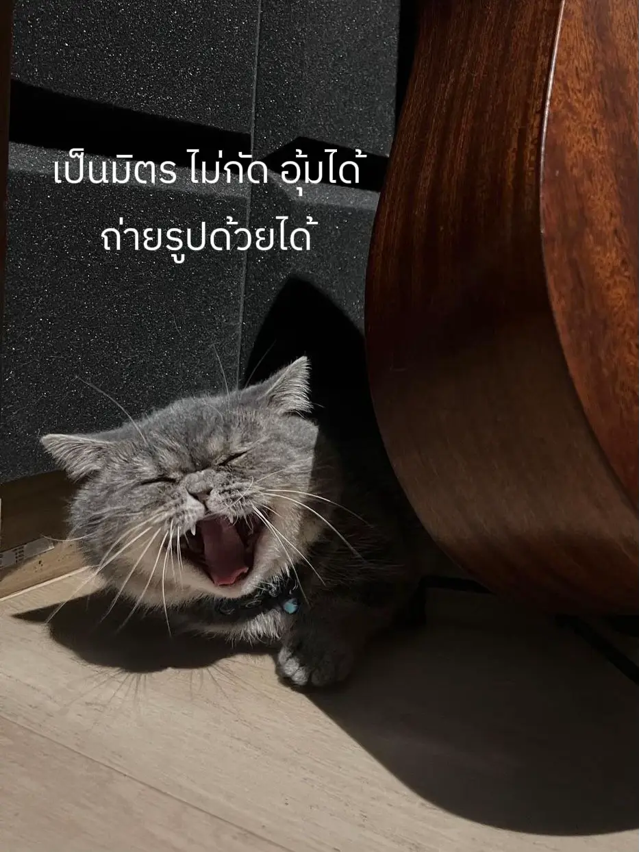 อัดเพลง Cover ในสตูดิโองบ 1,2xx ฿ ย่านสีลม🎤🎬🎧 | แกลเลอรีที่โพสต์โดย ...