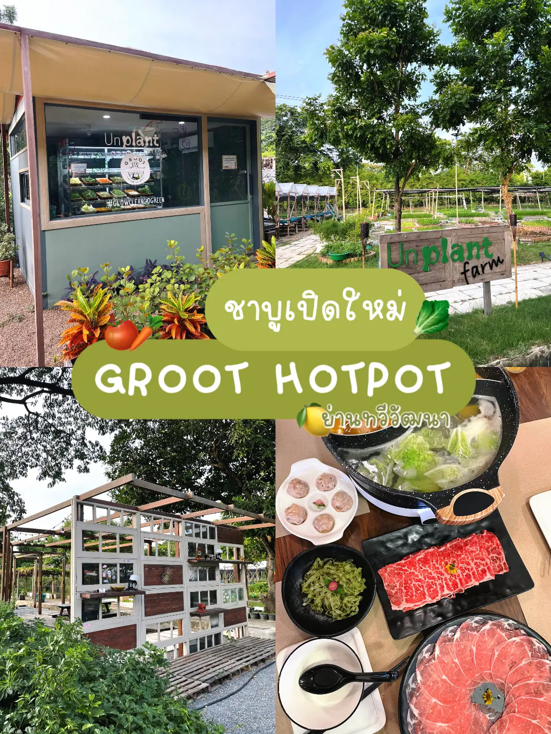 \เปิดใหม่/ ชาบู GROOT HOTPOT ย่านทวีวัฒนา 🍅🥦 | แกลเลอรีที่โพสต์โดย กินเที่ยวชอป💖 | Lemon8