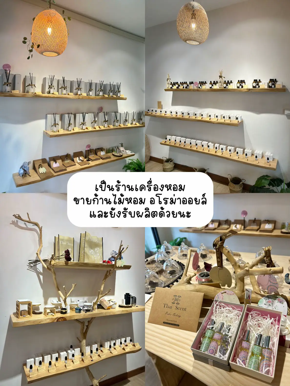 ไป Workshop Diffuser ก้านหอมที่สยาม ขวดเดียวในโลกกันนน | แกลเลอรีที่โพสต์โดย ffairwayy | Lemon8